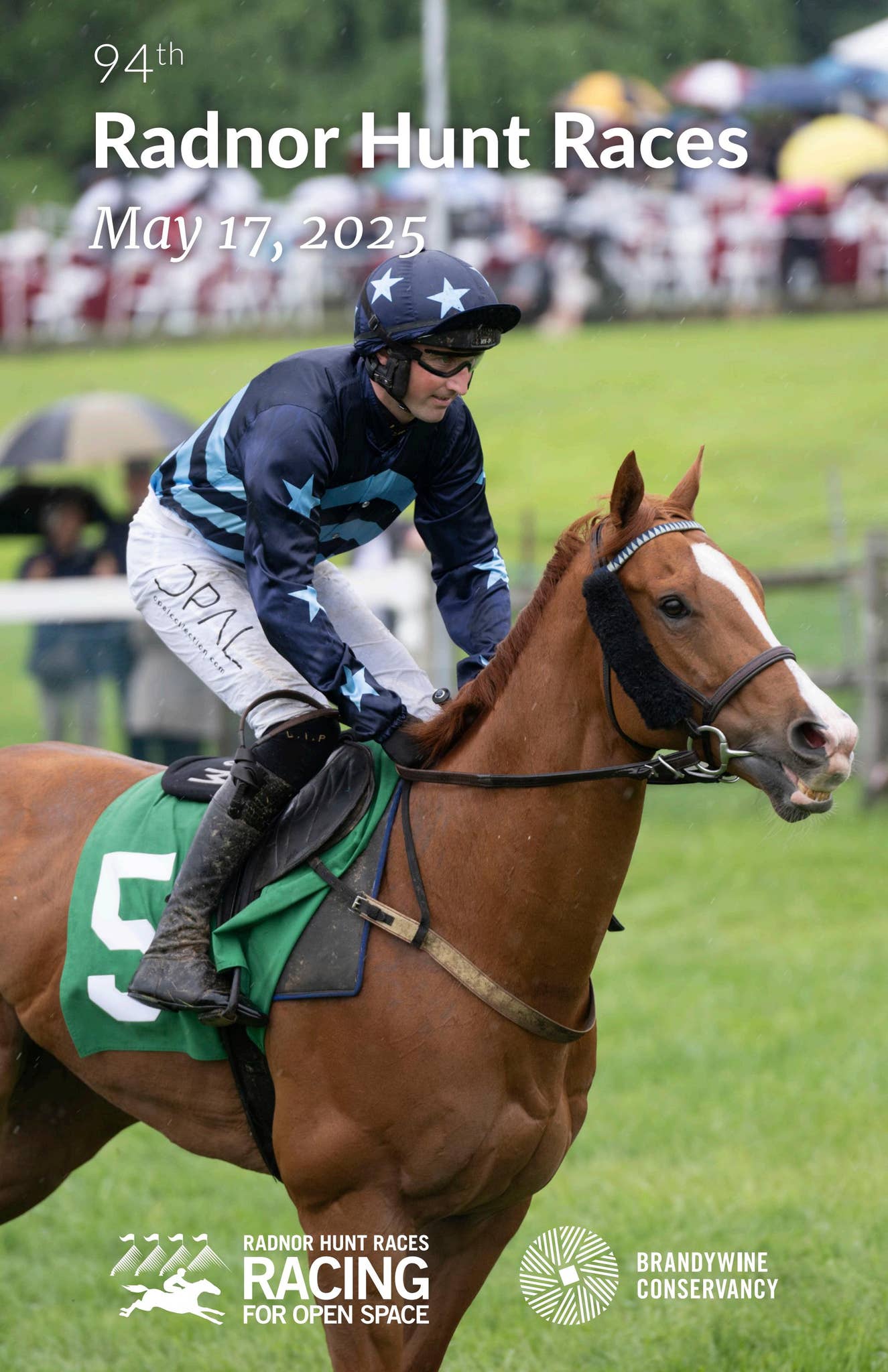 94th Radnor Hunt Races Brochure by Brandywine Conservancy & Museum of Art - Issuu