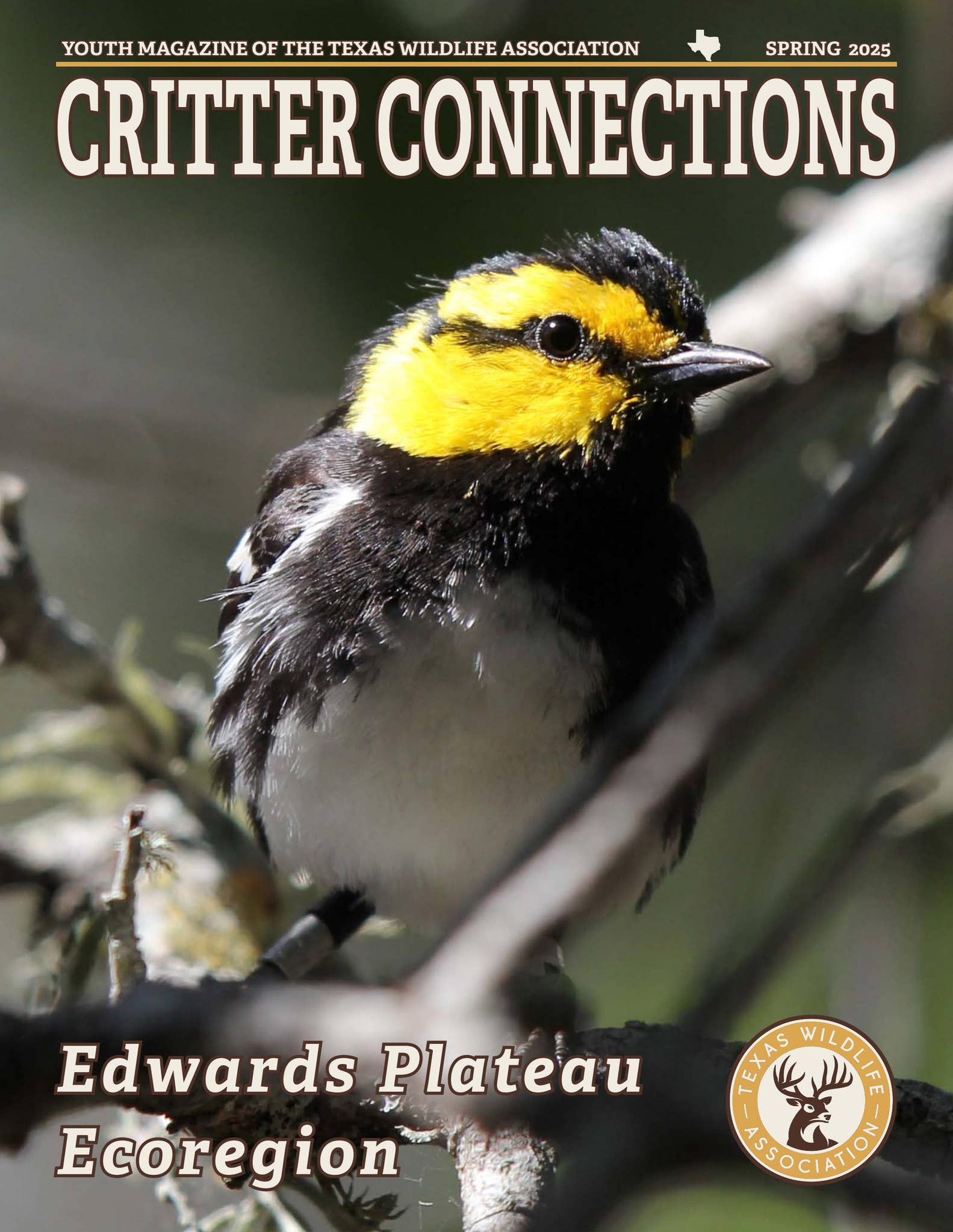 Critter Connections - Spring 2025 - Edwards Plateau Ecoregion by Texas ...