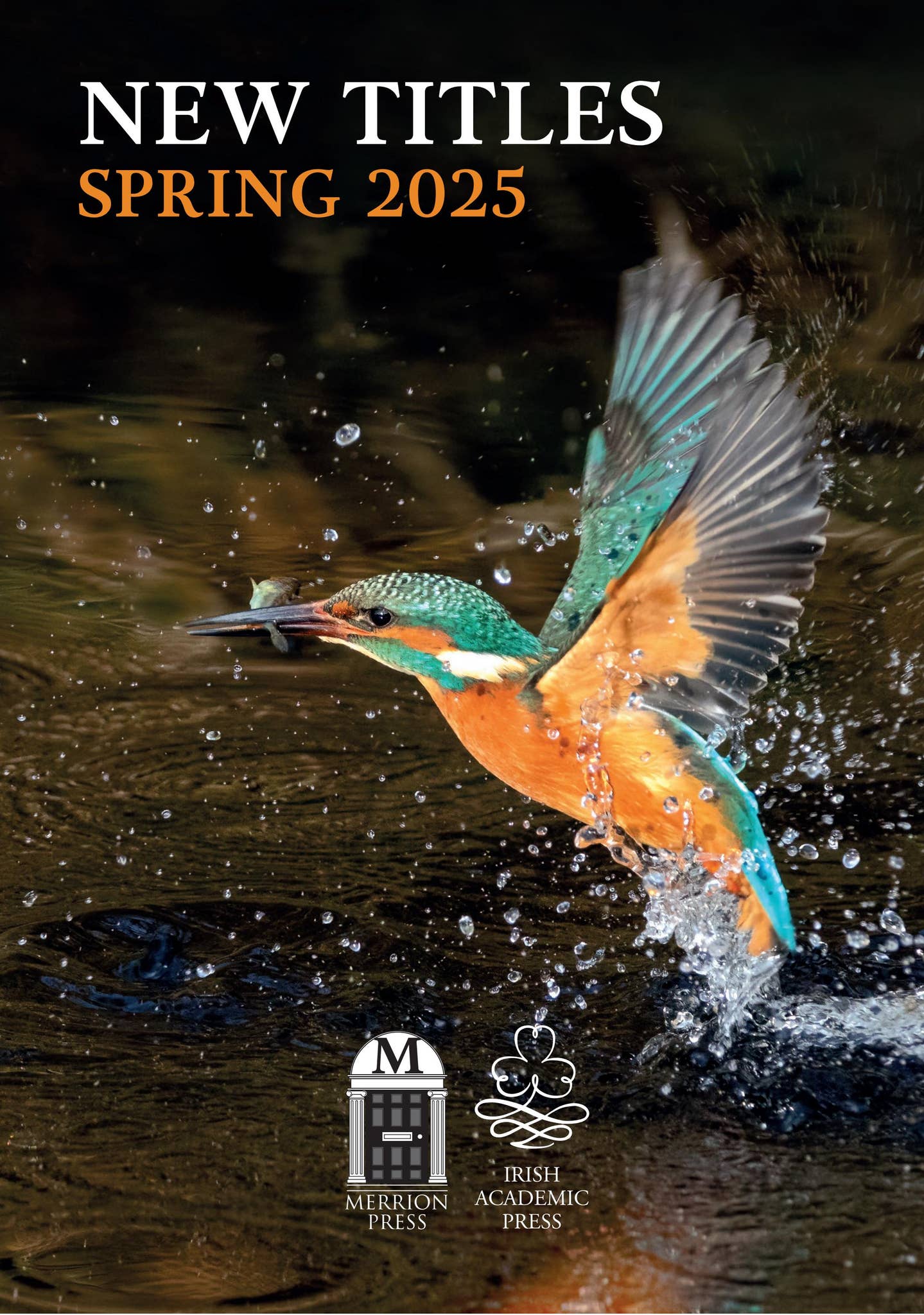 Spring 2025 Catalogue by Irish Academic Press | Merrion Press - Issuu