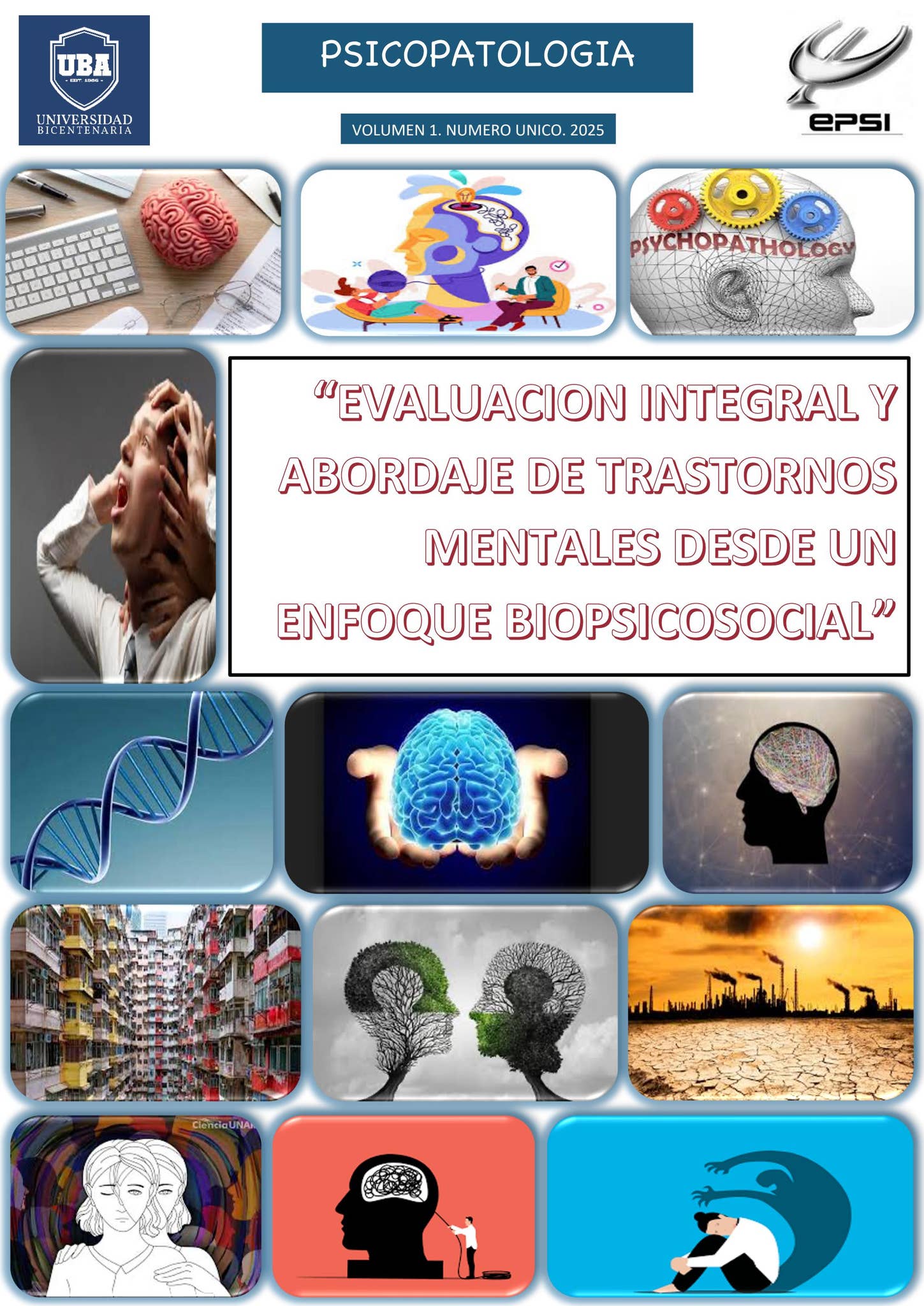 PSICOPATOLOGIA: EVALUACION INTEGRAL Y ABORDAJE DE TRASTORNOS MENTALES DESDE UN ENFOQUE ...