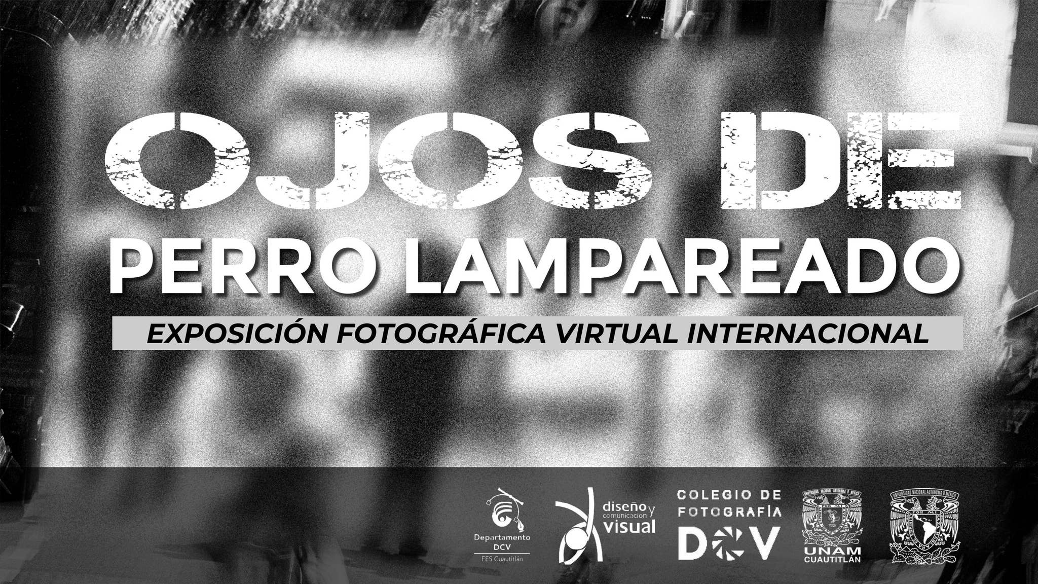 Ojos de Perros Lampareado | Exposición Fotográfica Virtual | UNAM FESC ...