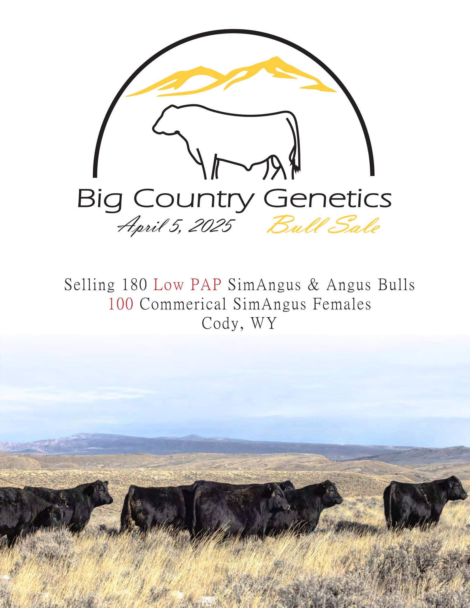 2025 Big Country Genetics Bull Sale Catalog by bigcountrygenetics - Issuu