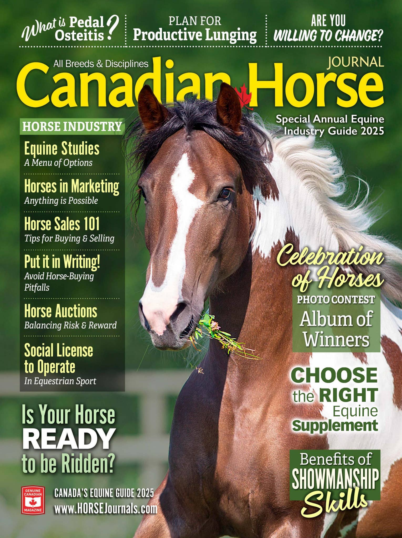 Canada's Equine Guide 2025 by Canadian Horse Journal - SAMPLE by Horse ...