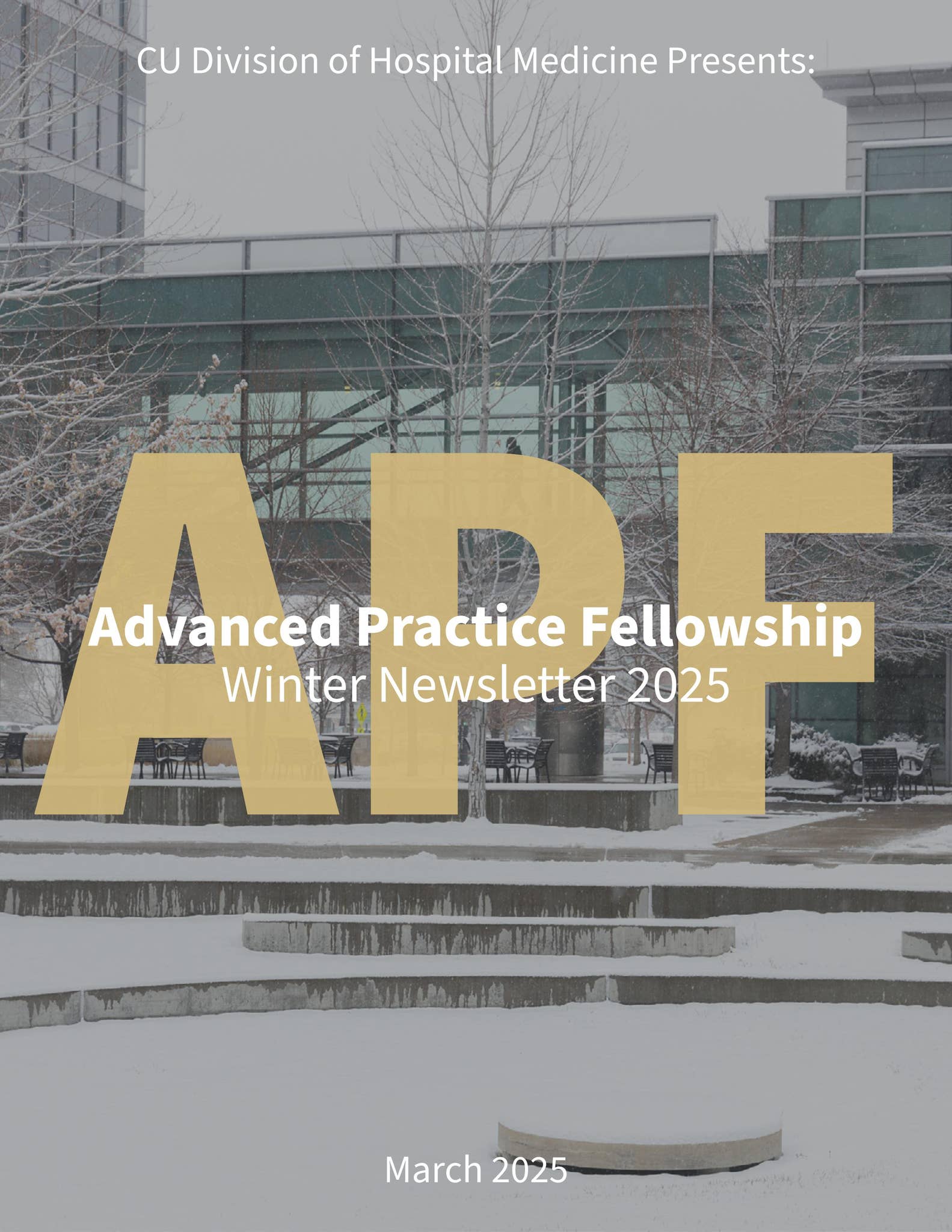 APF Winter Newsletter 2025 by CU Division of Hospital Medicine - Issuu