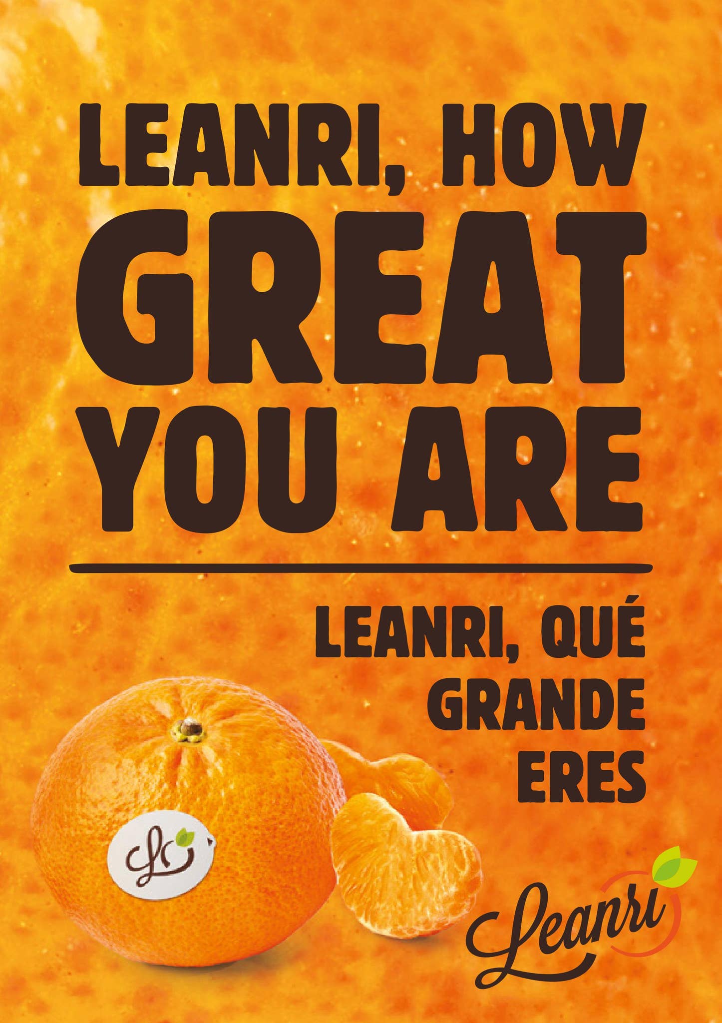 250307_folleto_LEANRI_en-es - digital by laurie - Issuu