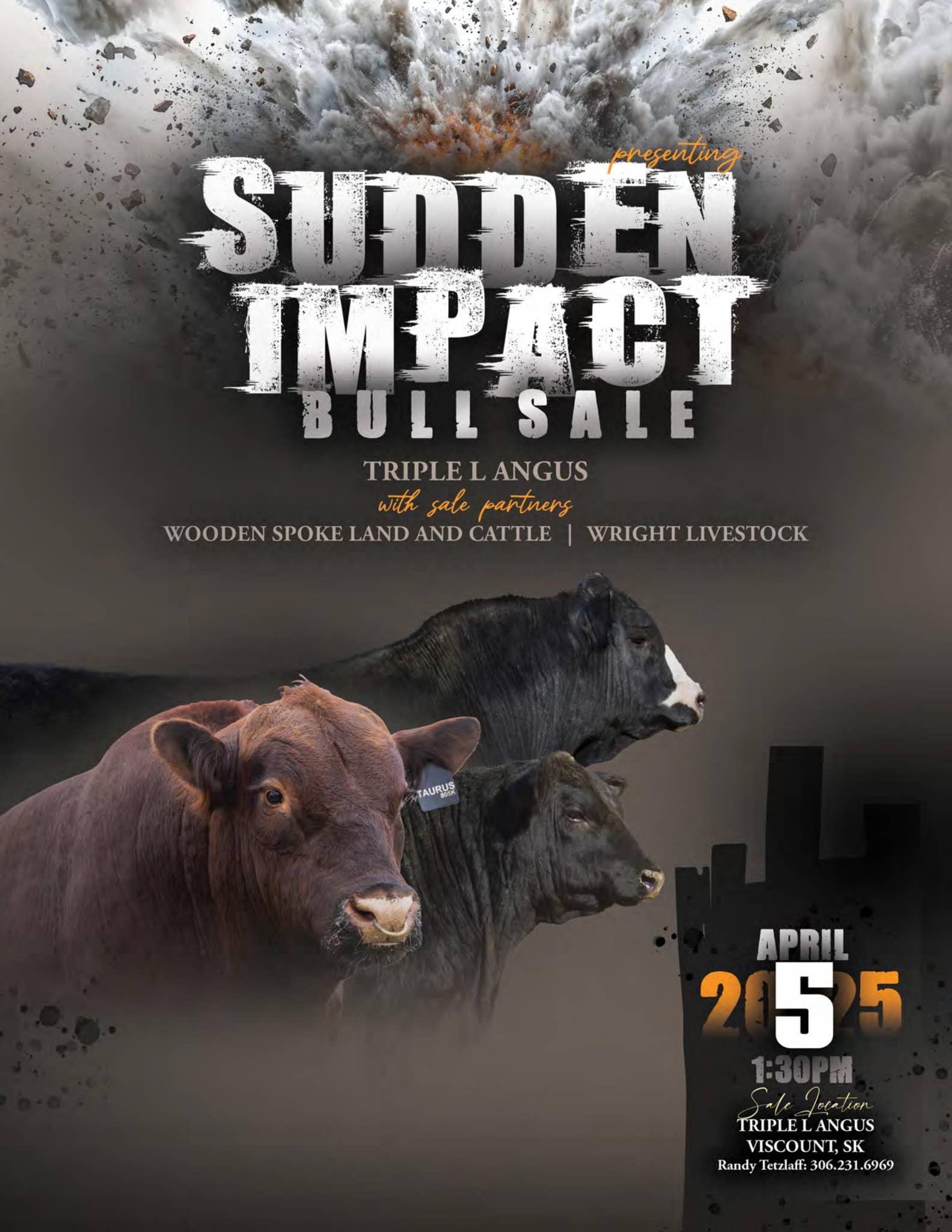 2025 Sudden Impact Catalogue_online by Castlerock Marketing - Issuu