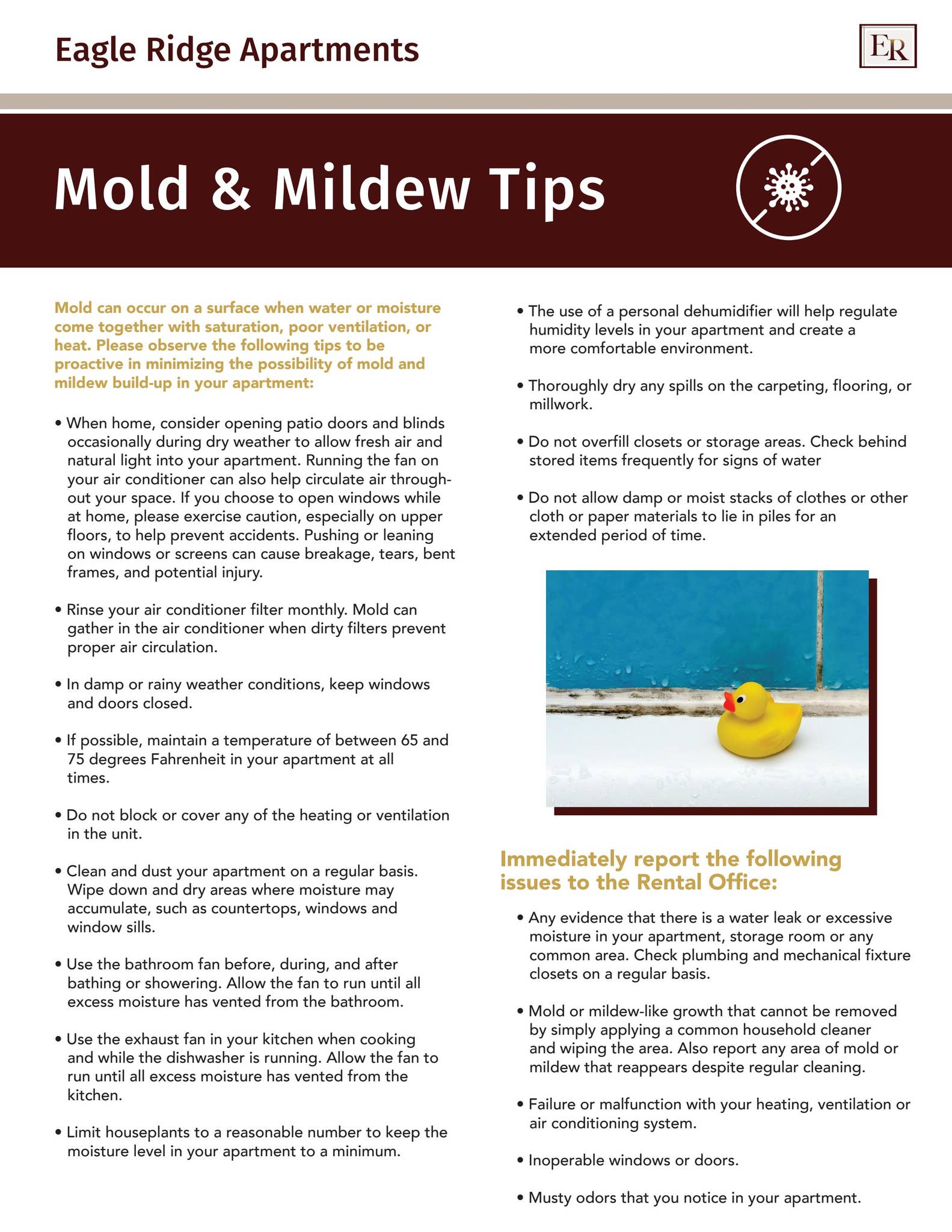Mold & Mildew Tips by Eagle Ridge Apartments - Issuu