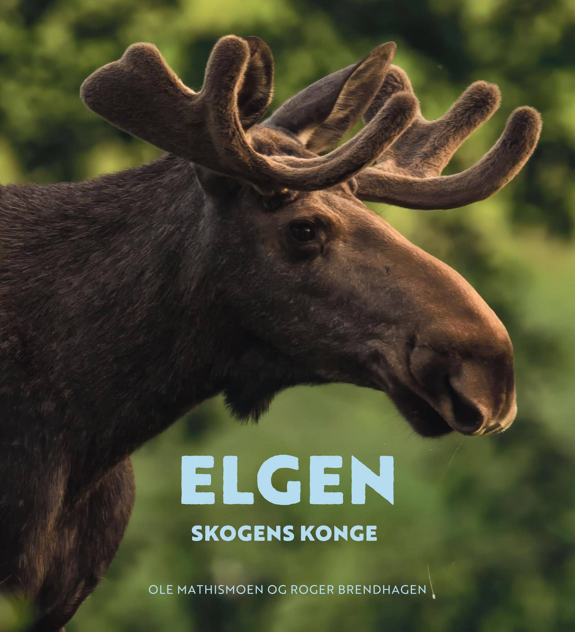Elgen - skogens konge by Cappelen Damm AS - Issuu