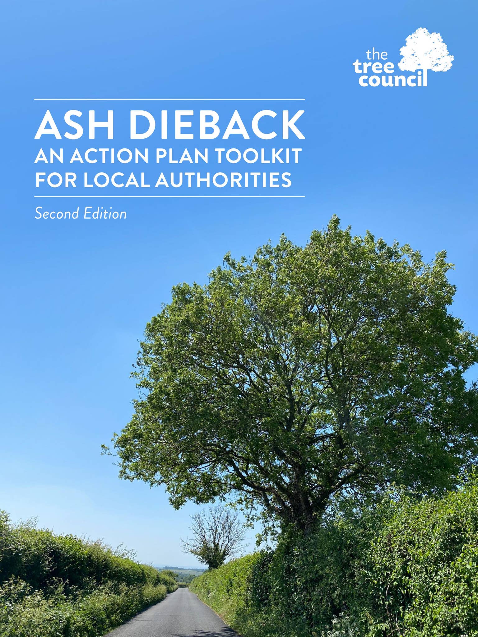 The Tree Council Ash Dieback Toolkit March 2025 by thetreecouncil - Issuu