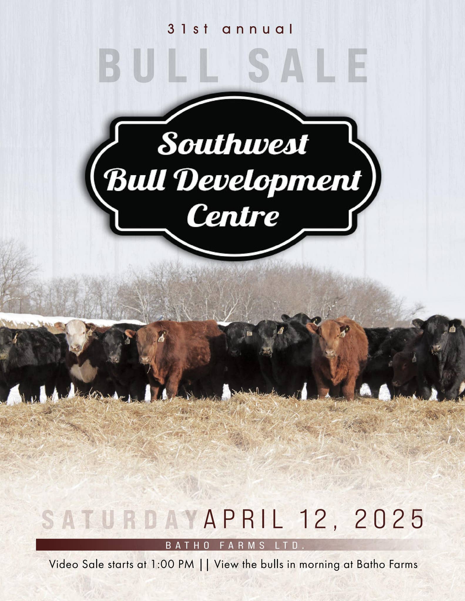 Southwest Bull Development Centre 31st Annual Bull Sale by Today's ...