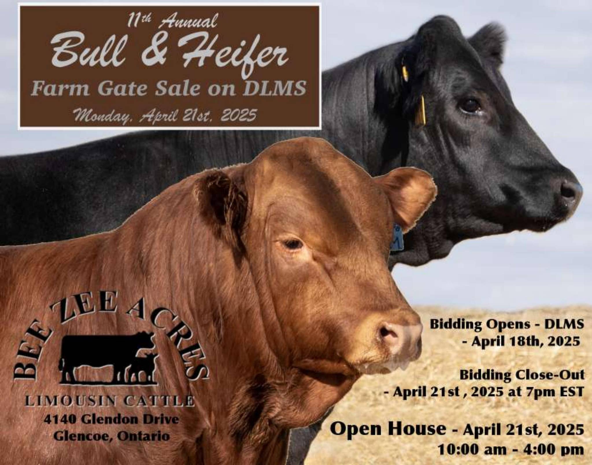 Bee Zee Acres Limousin Bull & Heifer Sale 2025 - DLMS Farm Gate Timed ...
