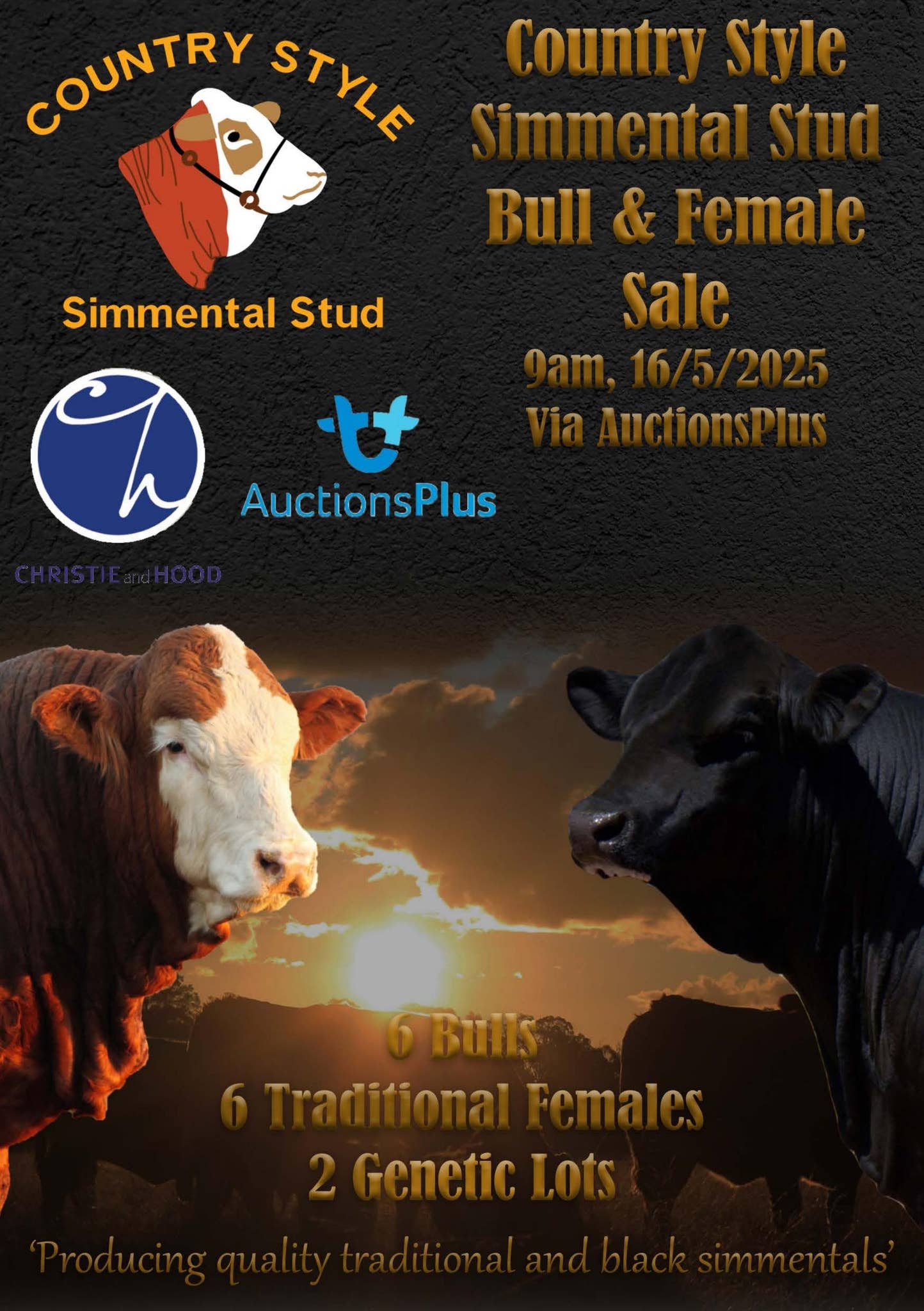 Country Style Simmental Stud Bull & Female Sale 2025 by lillianoke - Issuu