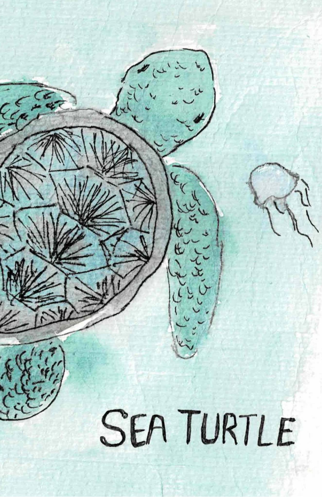 Project Sea Turtle by MC-MU - Issuu