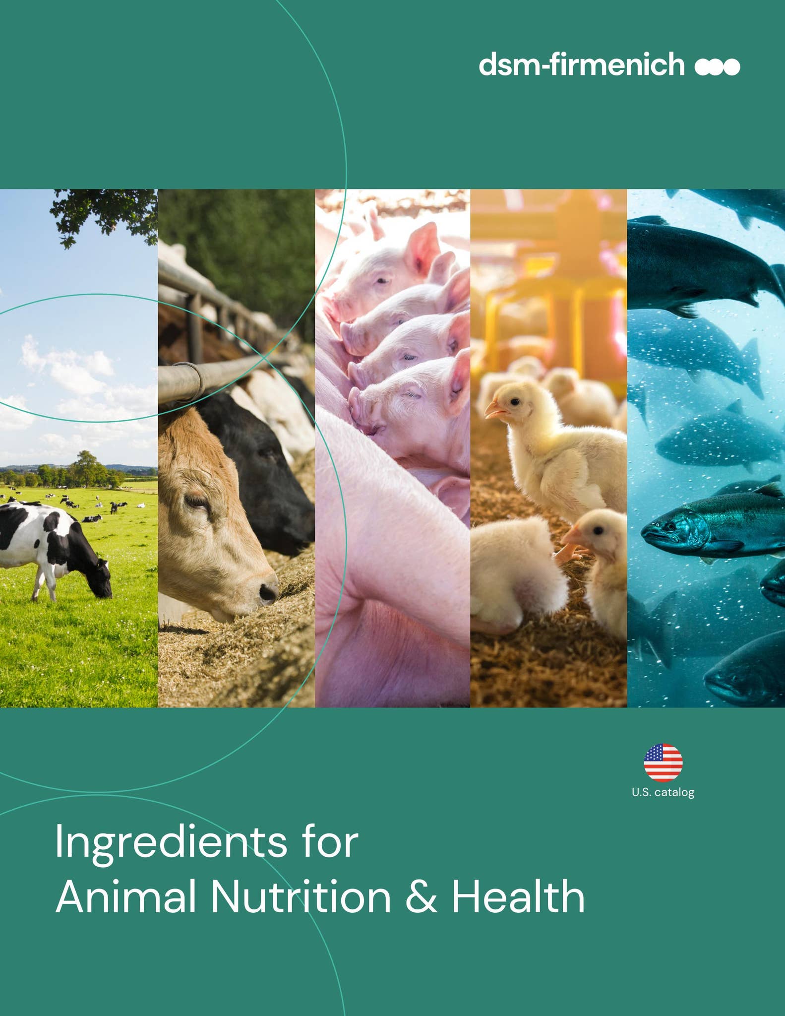 US Product Catalog - dsm-firmenich Animal Nutrition & Health by dsm.anh - Issuu