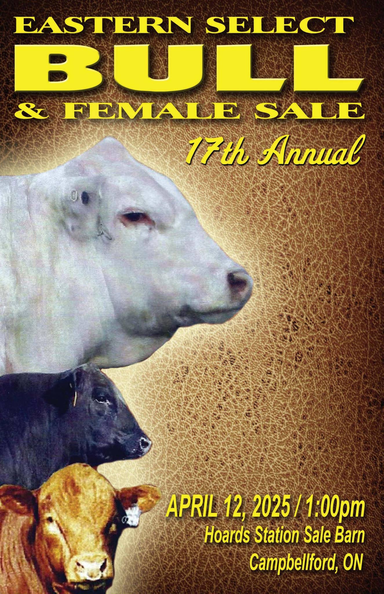 Eastern Select Bull & Female Sale - Hoard's Station, ON by DLMS ...