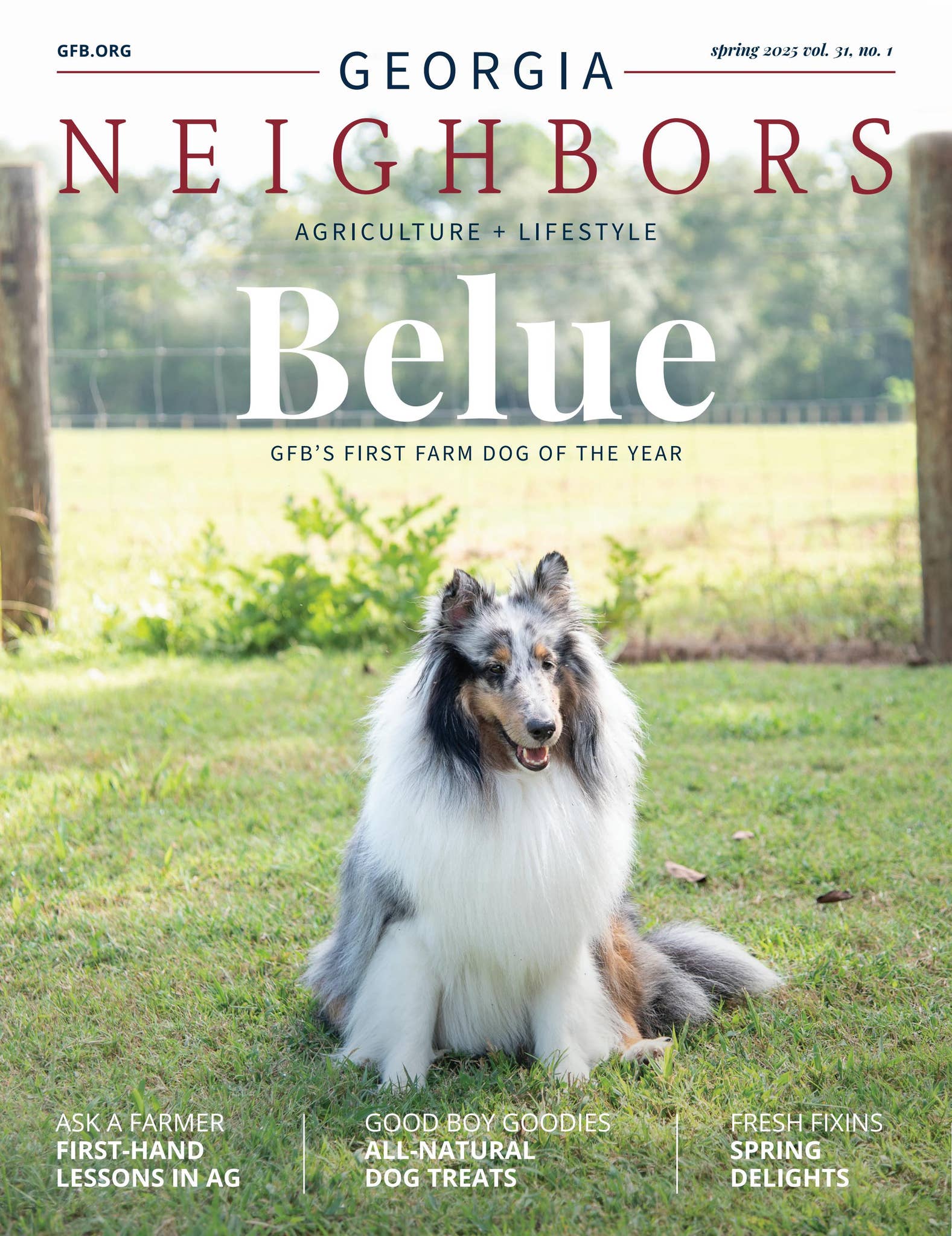 Georgia Neighbors Spring 2025 by Georgia Farm Bureau - Issuu