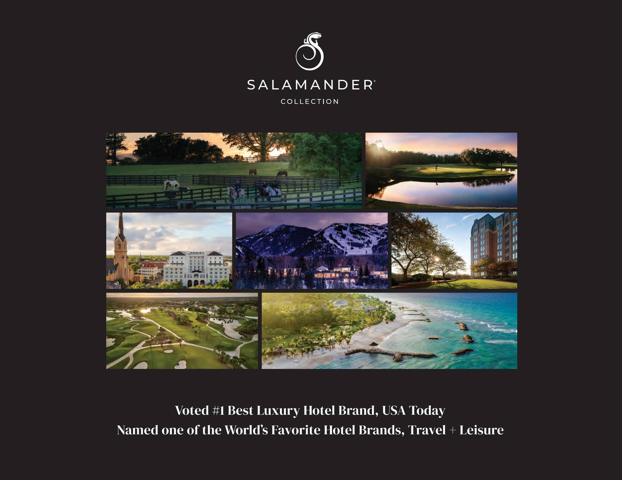 Salamander Collection 2025 by Salamander Collection - Issuu