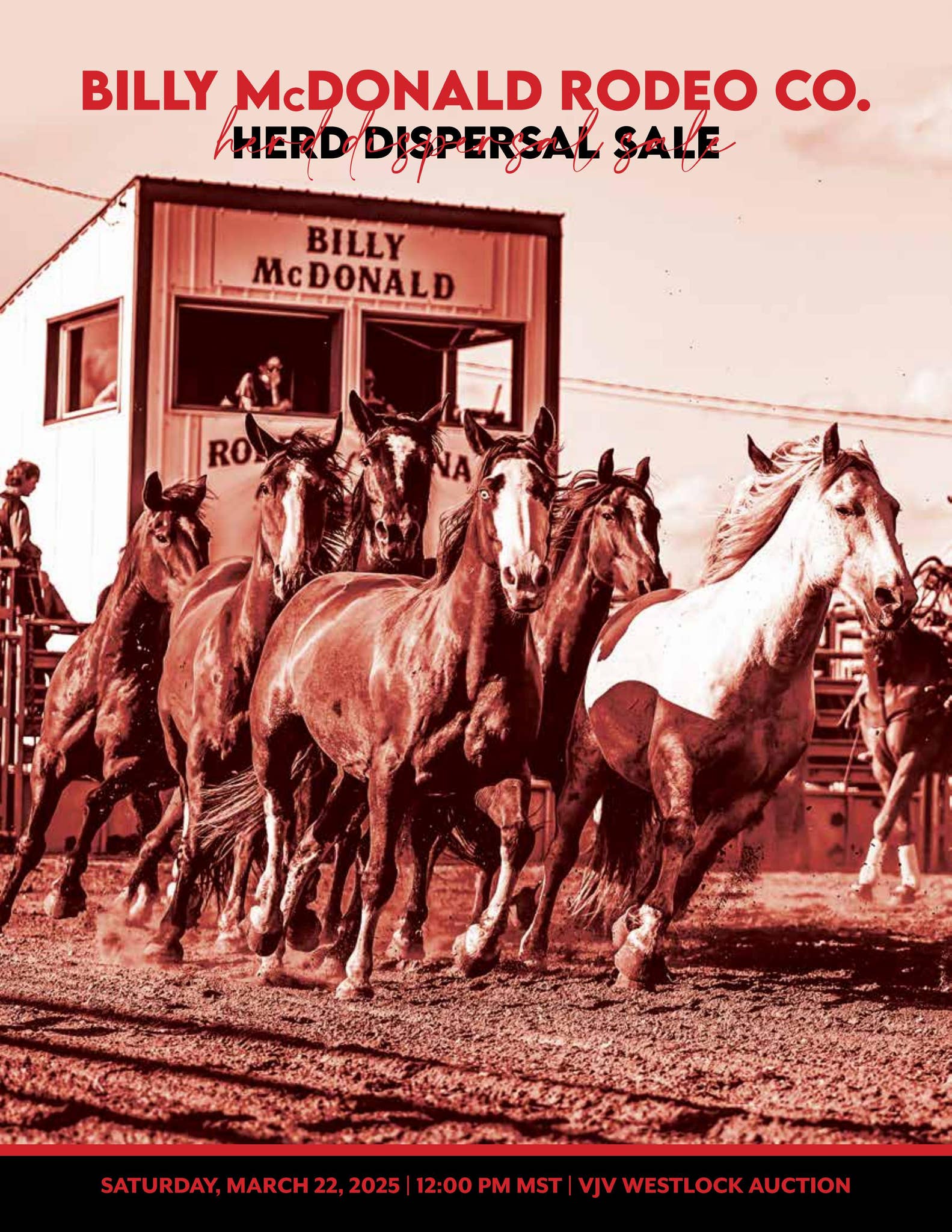 Billy McDonald Rodeo Co. Herd Dispersal Sale by Seven D Media - Issuu