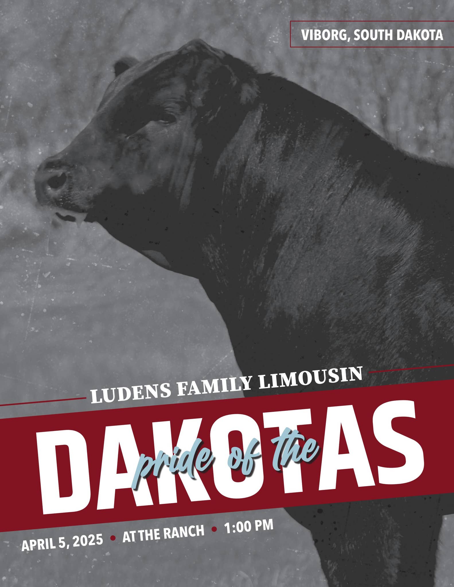 Ludens Family Limousin | 2025 Pride Of The Dakotas by Abbie Cribbs - Issuu