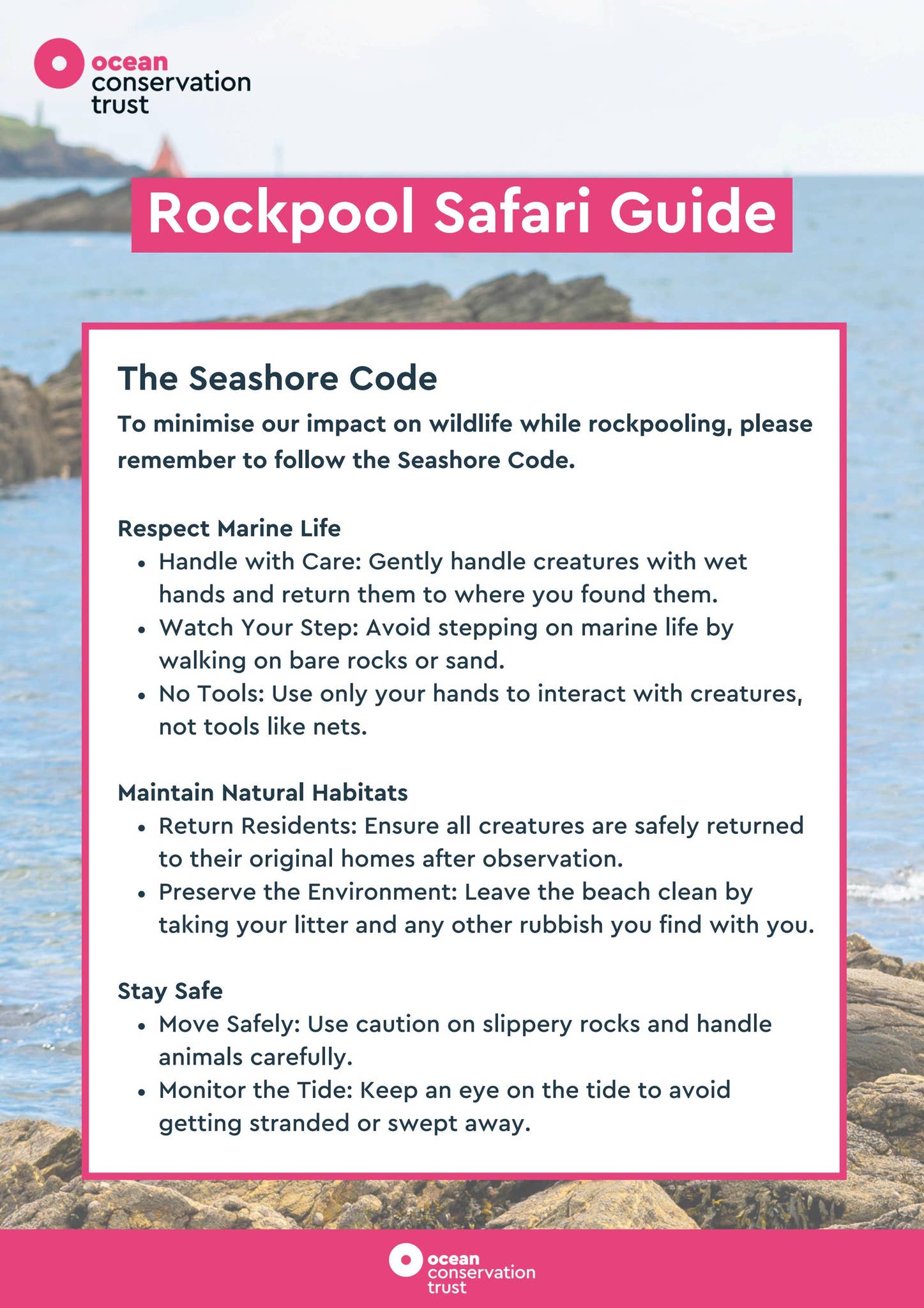 Rockpool Guide (Ages 12+) by OceanConservationTrust - Issuu