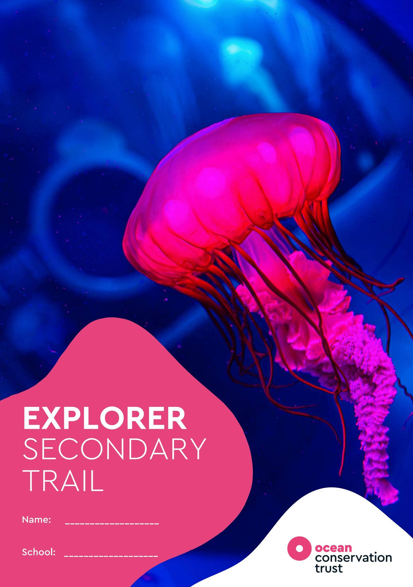 Secondary Explorer Booklet by OceanConservationTrust - Issuu