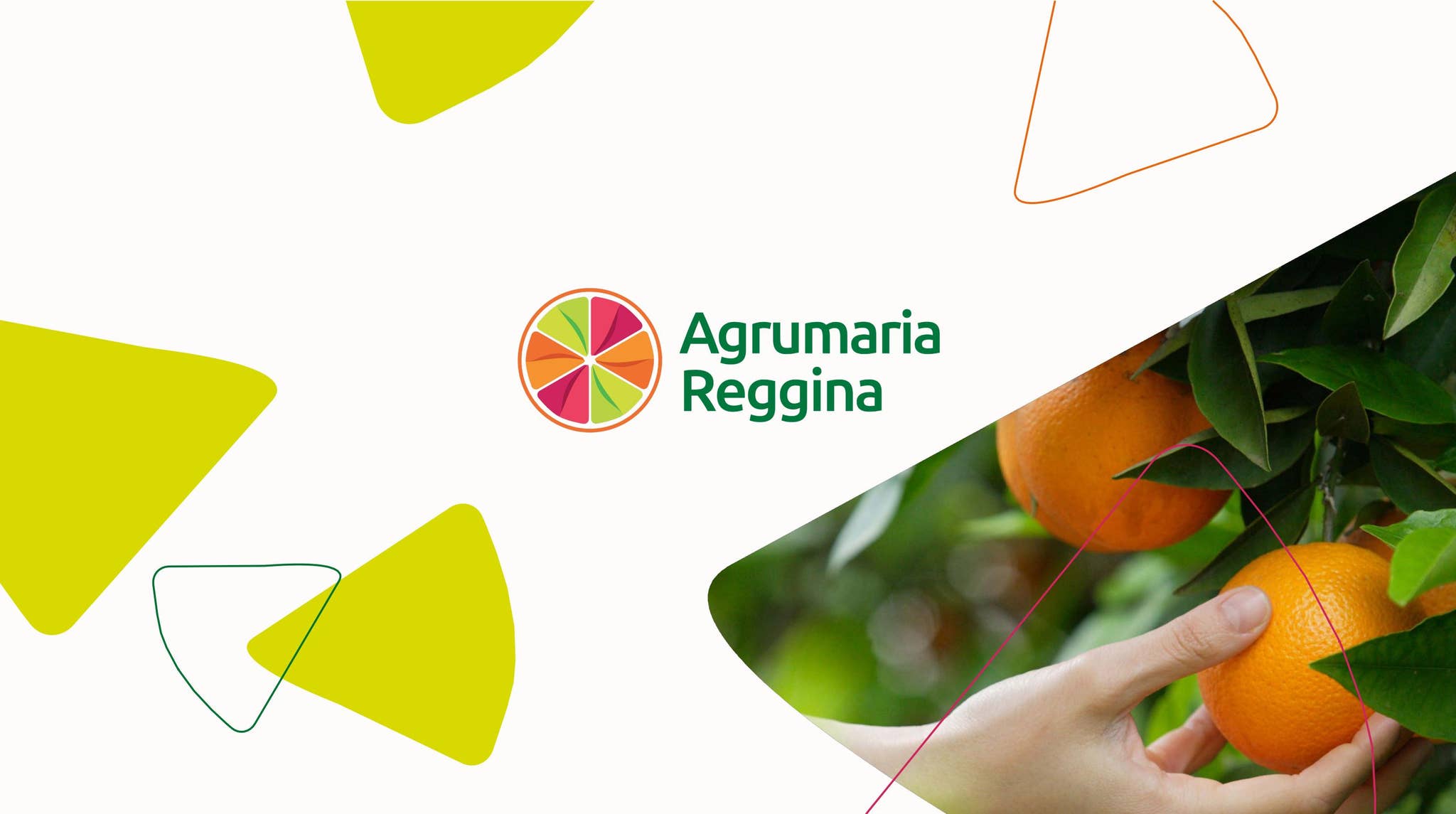 Agrumaria Reggina. A Nature-Inspired Family Company for Nutrition ...