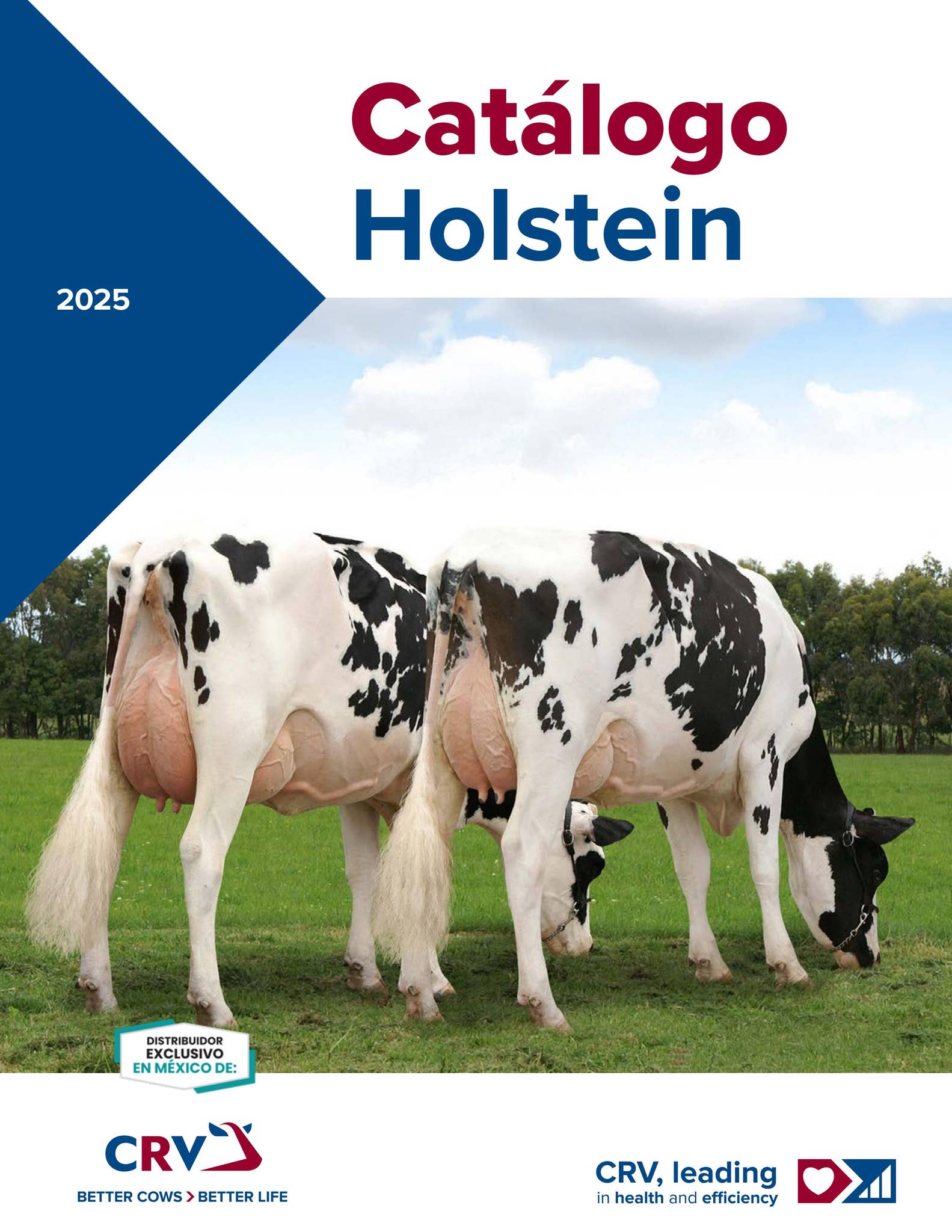 Catálogo CRV 2025 by GENEX MEXICO - Issuu