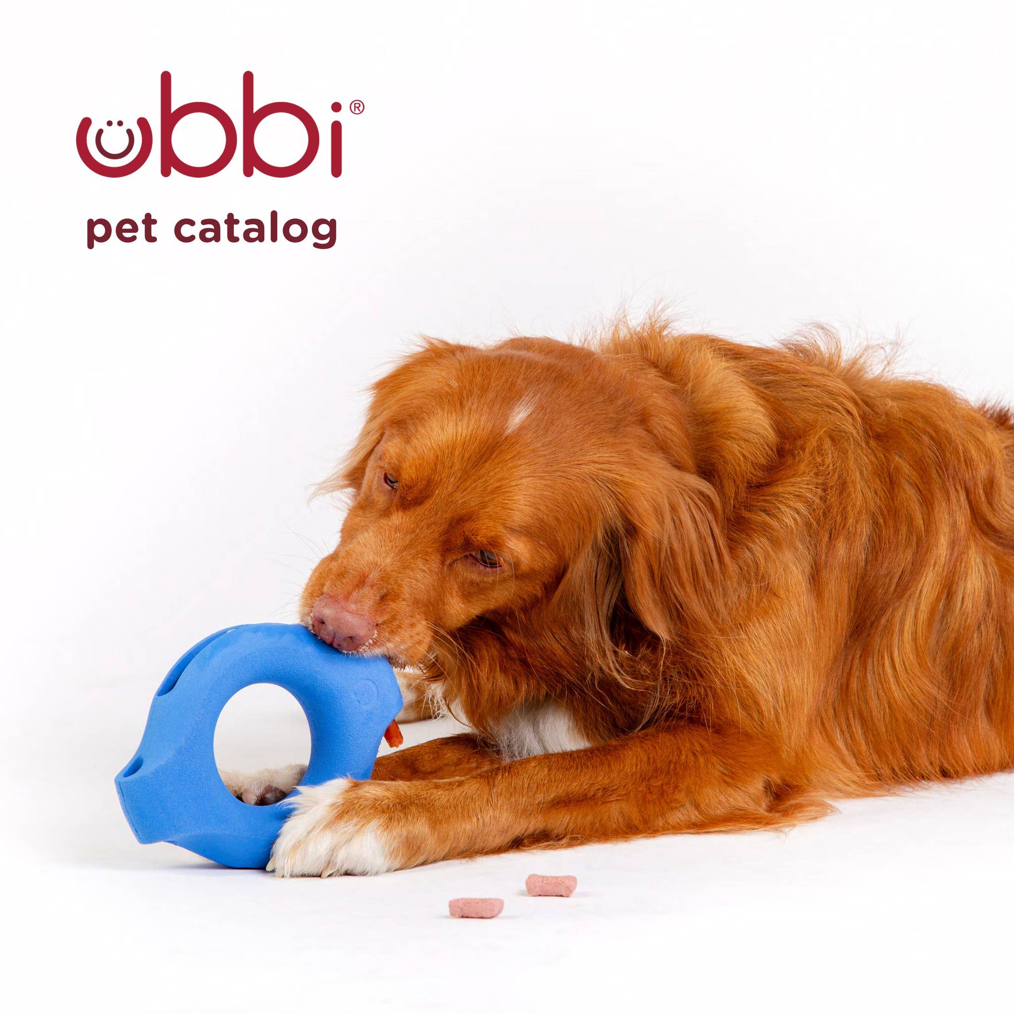 Ubbi_Pet_Catalog_2025 by Pearhead - Issuu
