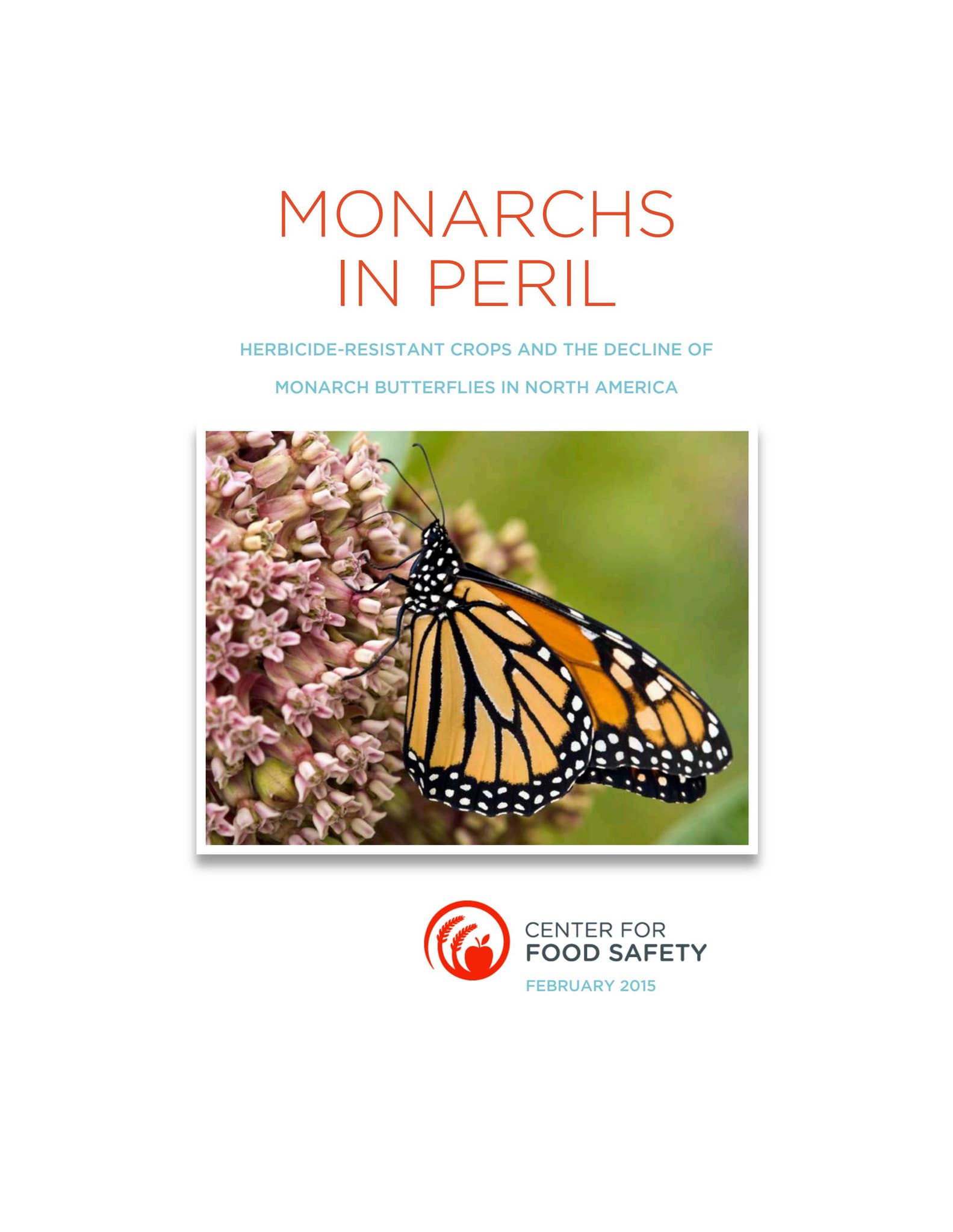 Monarchs in Peril: Herbicide-Resistant Crops and the Decline of Monarch ...