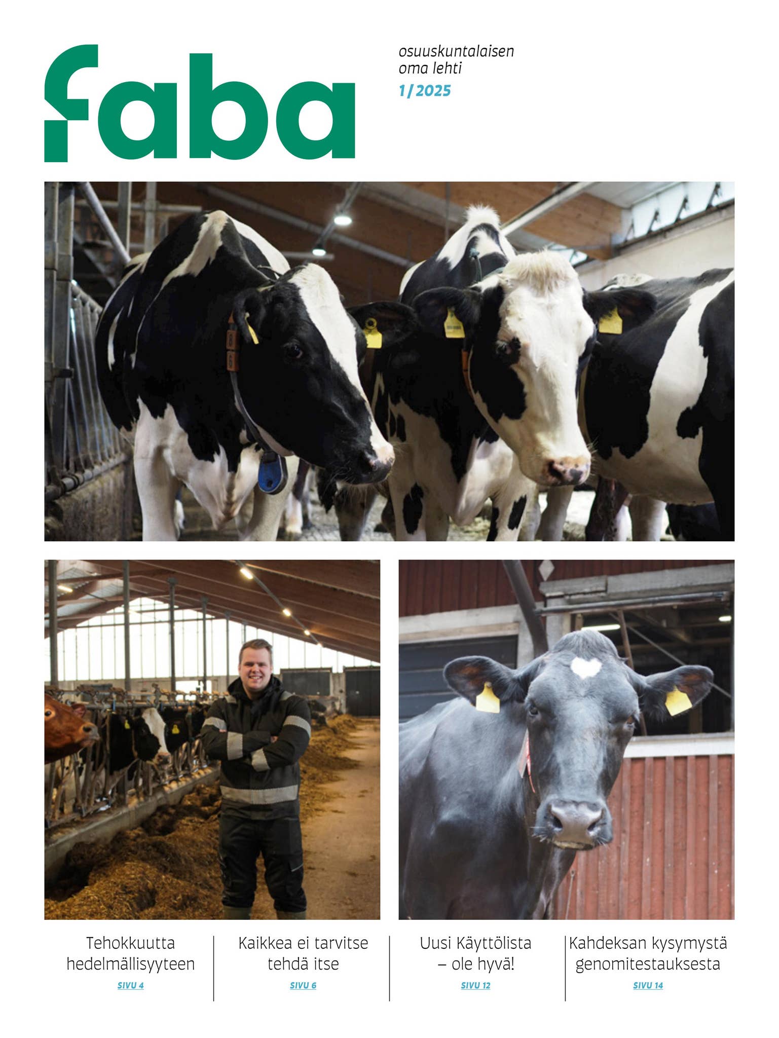 Faba 1/25 by Faba_osk - Issuu