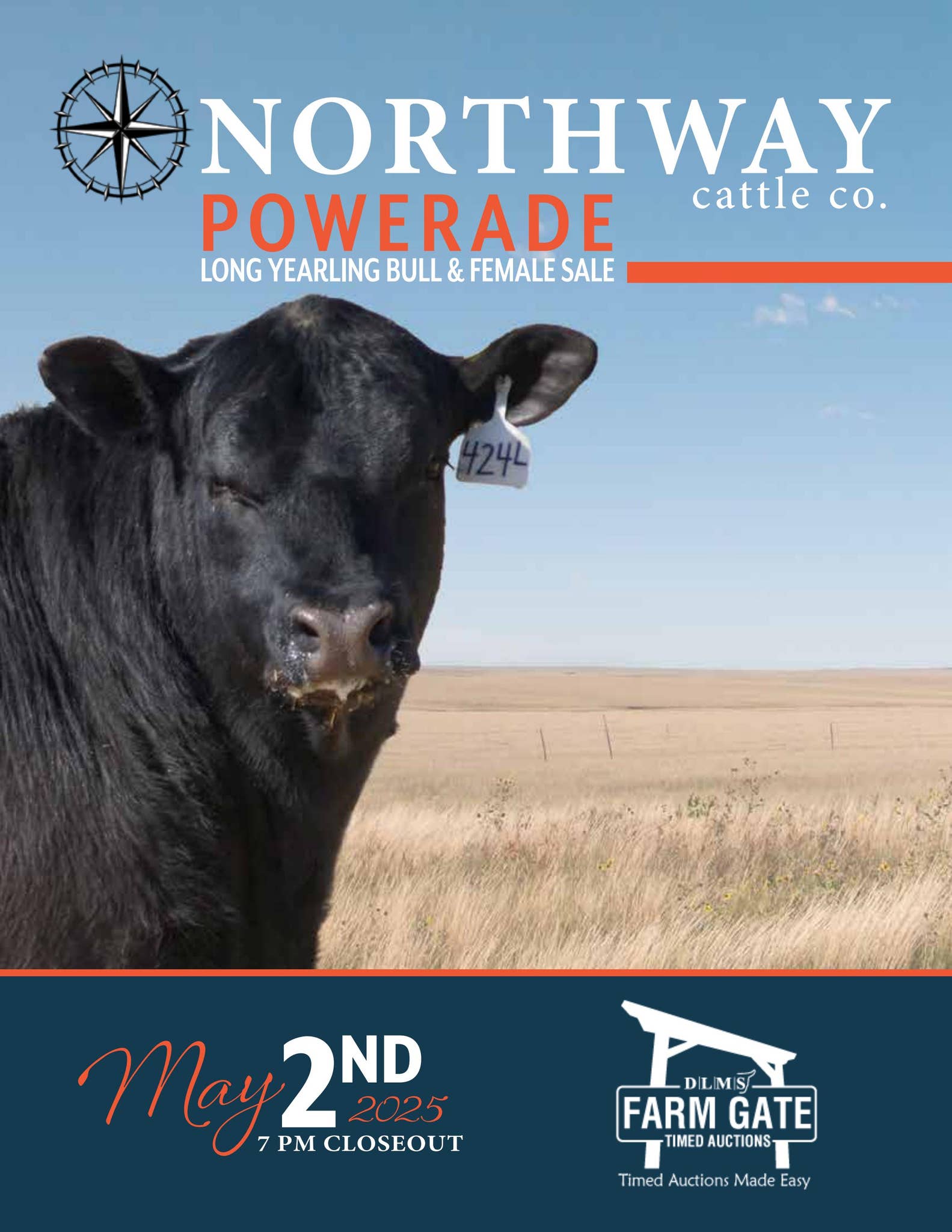 Northway Cattle Co. Long Yearling Bull & Female Sale by Bohrson ...