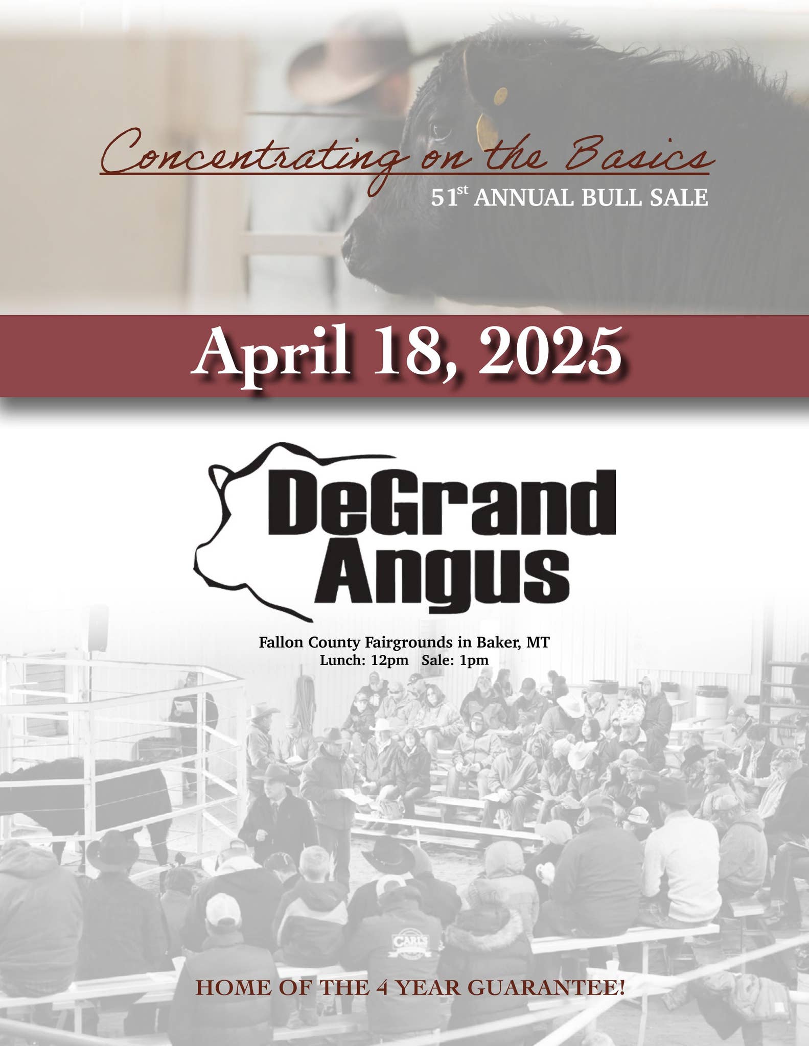 DeGrand Angus Catalog 2025 by HorizonMarketingAgency - Issuu