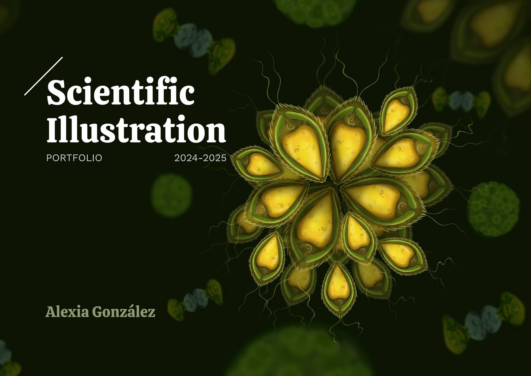 SCIENTIFIC ILLUSTRATION PORTFOLIO 2024-25 by Alexia González - Issuu