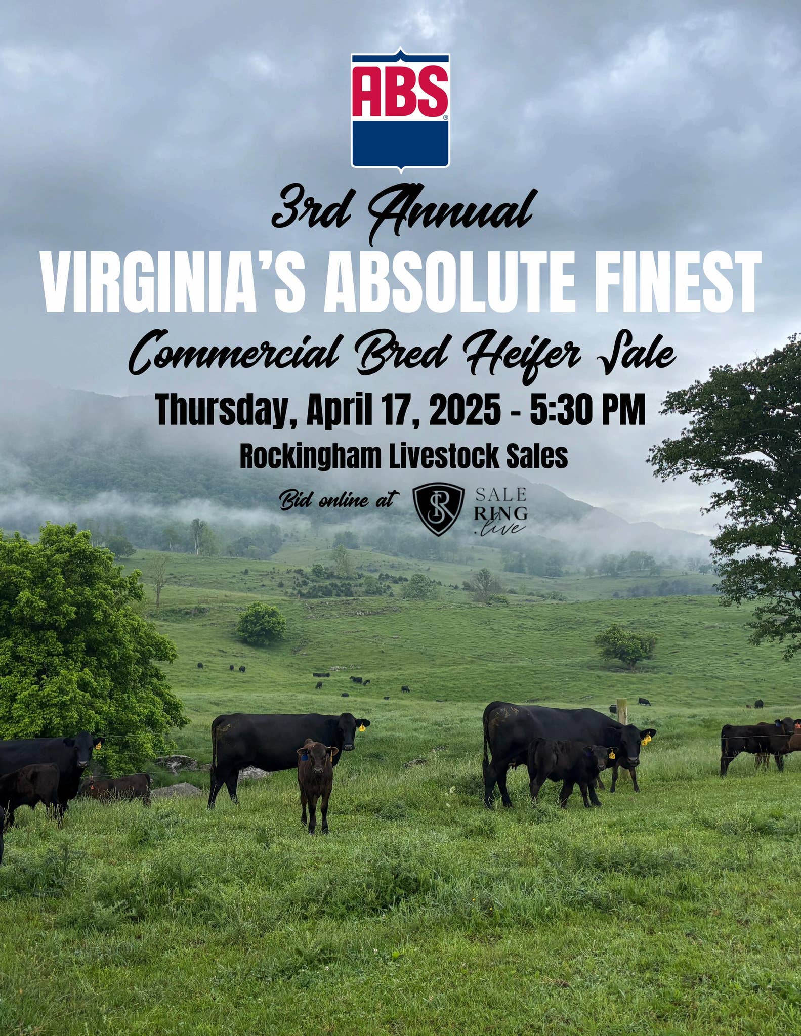 3rd Annual Virginia's ABSolute Finest Commercial Bred Heifer Sale by ...