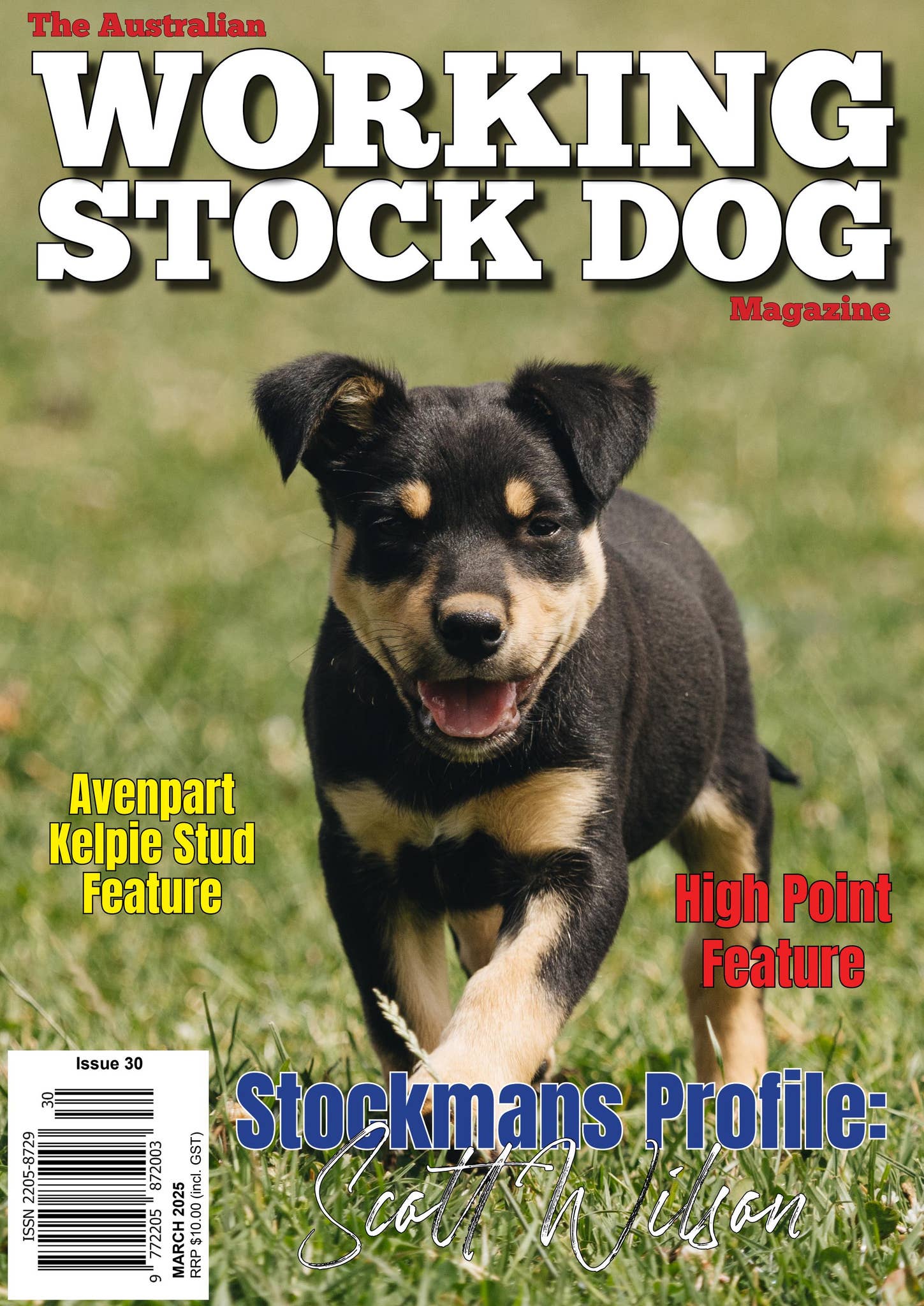 Australian Working Stock Dog Magazine - Issue 30, March 2025 by ...