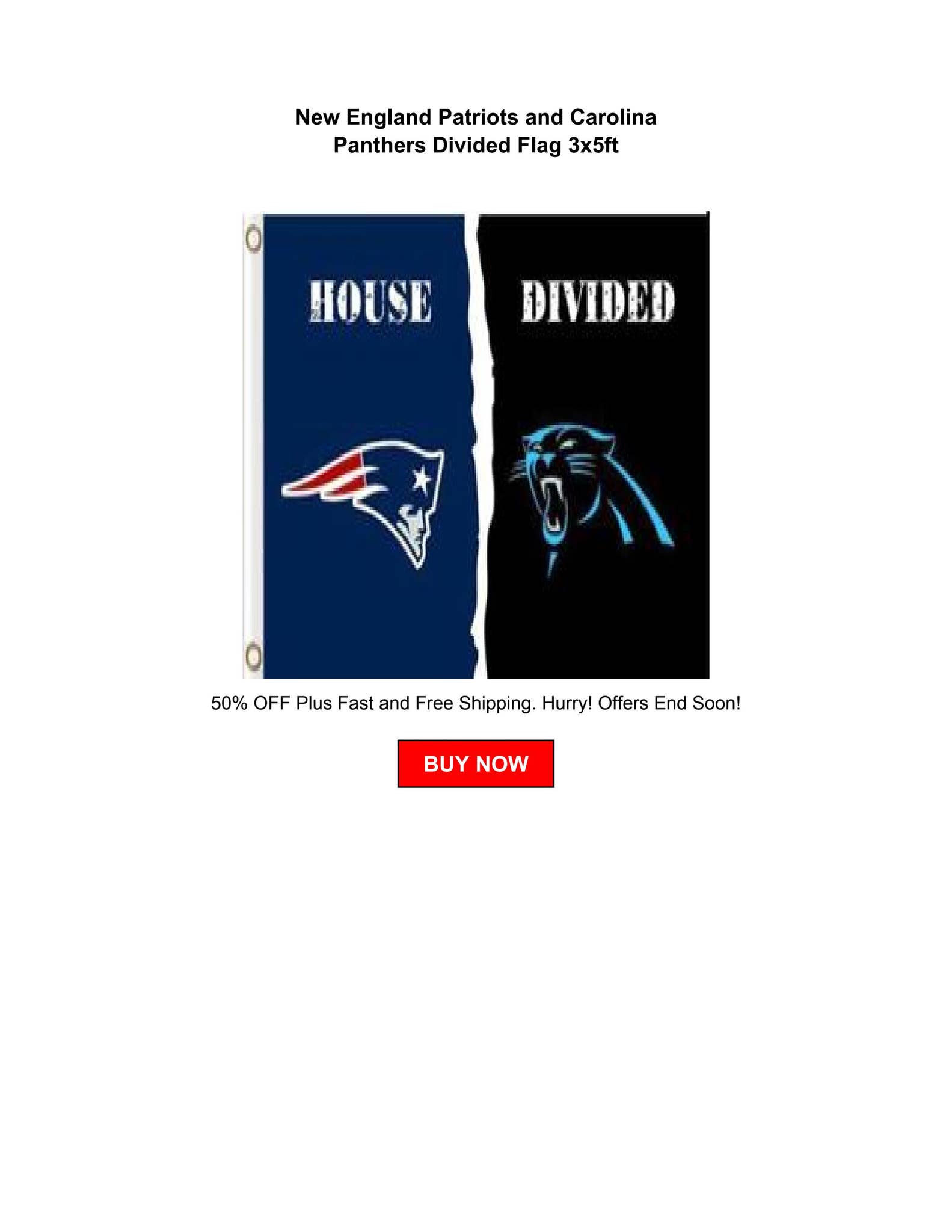 New England Patriots and Carolina Panthers Divided Flag 3x5ft by ...