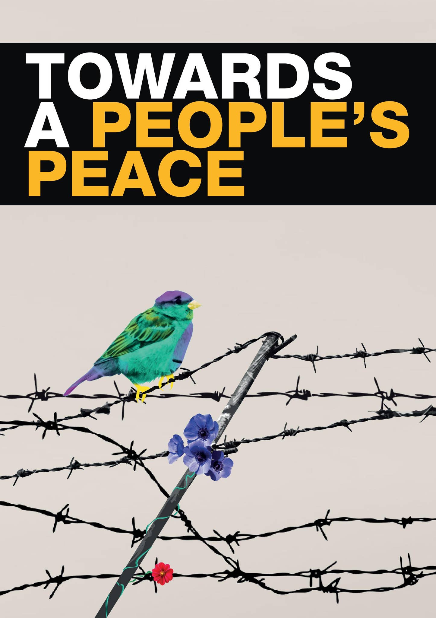 TOWARDS A PEOPLE'S PEACE: How Social Movements Can Help Create Just and ...