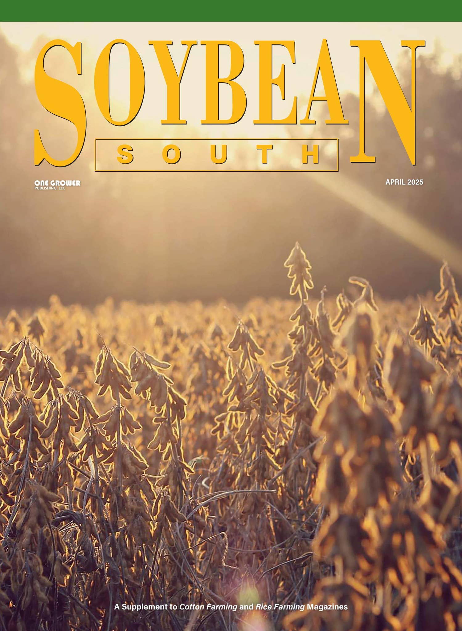 Soybean South April 2025 by One Grower Publishing - Issuu