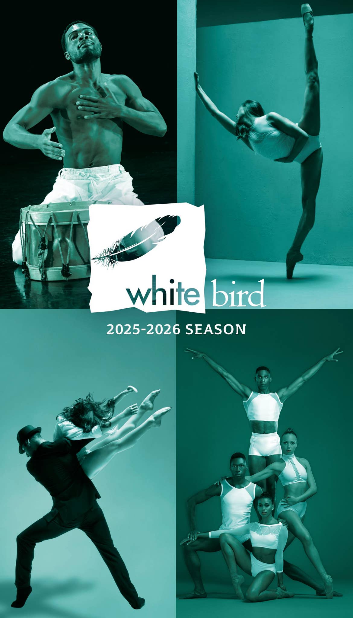 White Bird's 2025/26 Season Brochure by White Bird Dance - Issuu