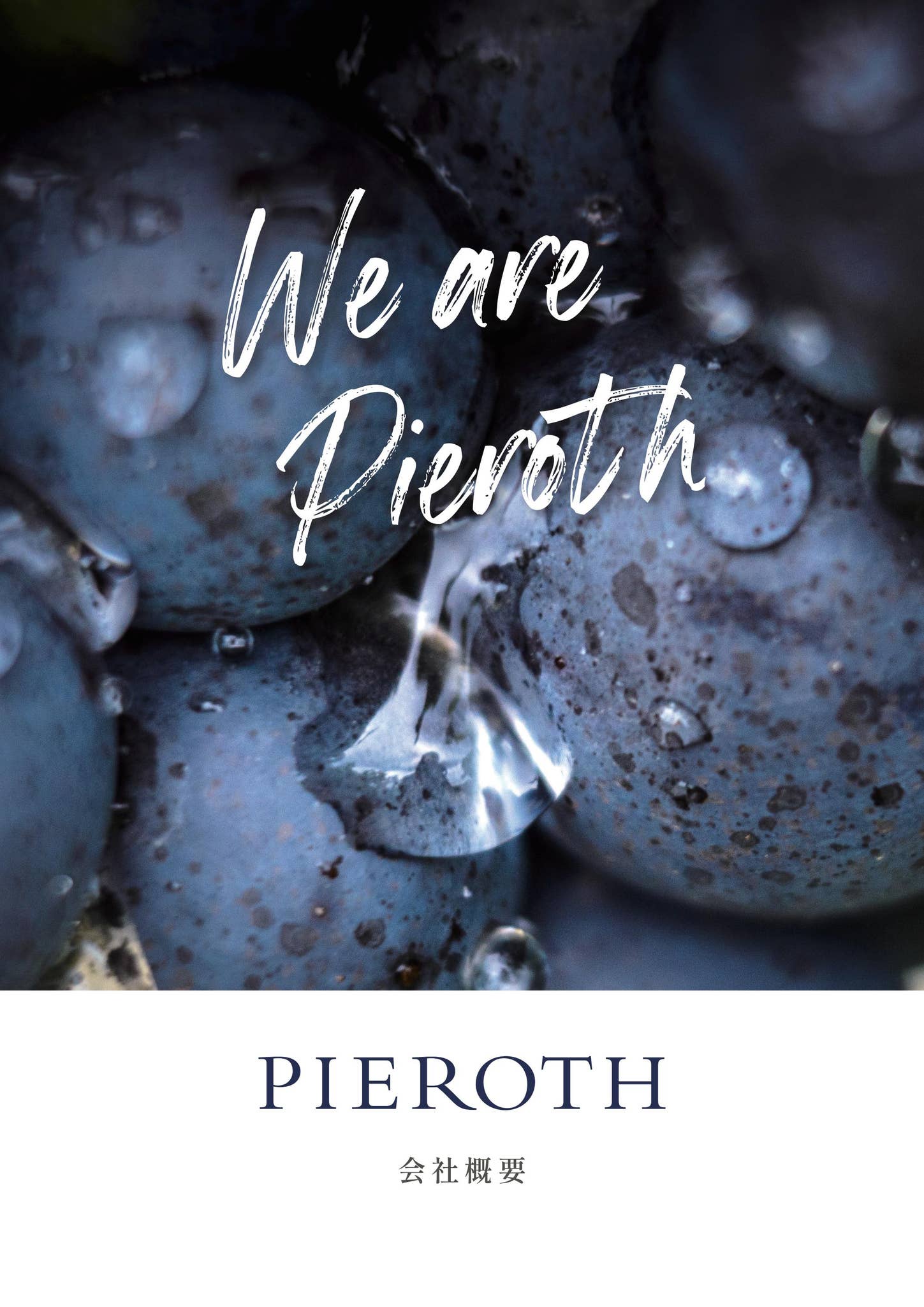 Pieroth Japan Company Profile by Pieroth Japan K K - Issuu