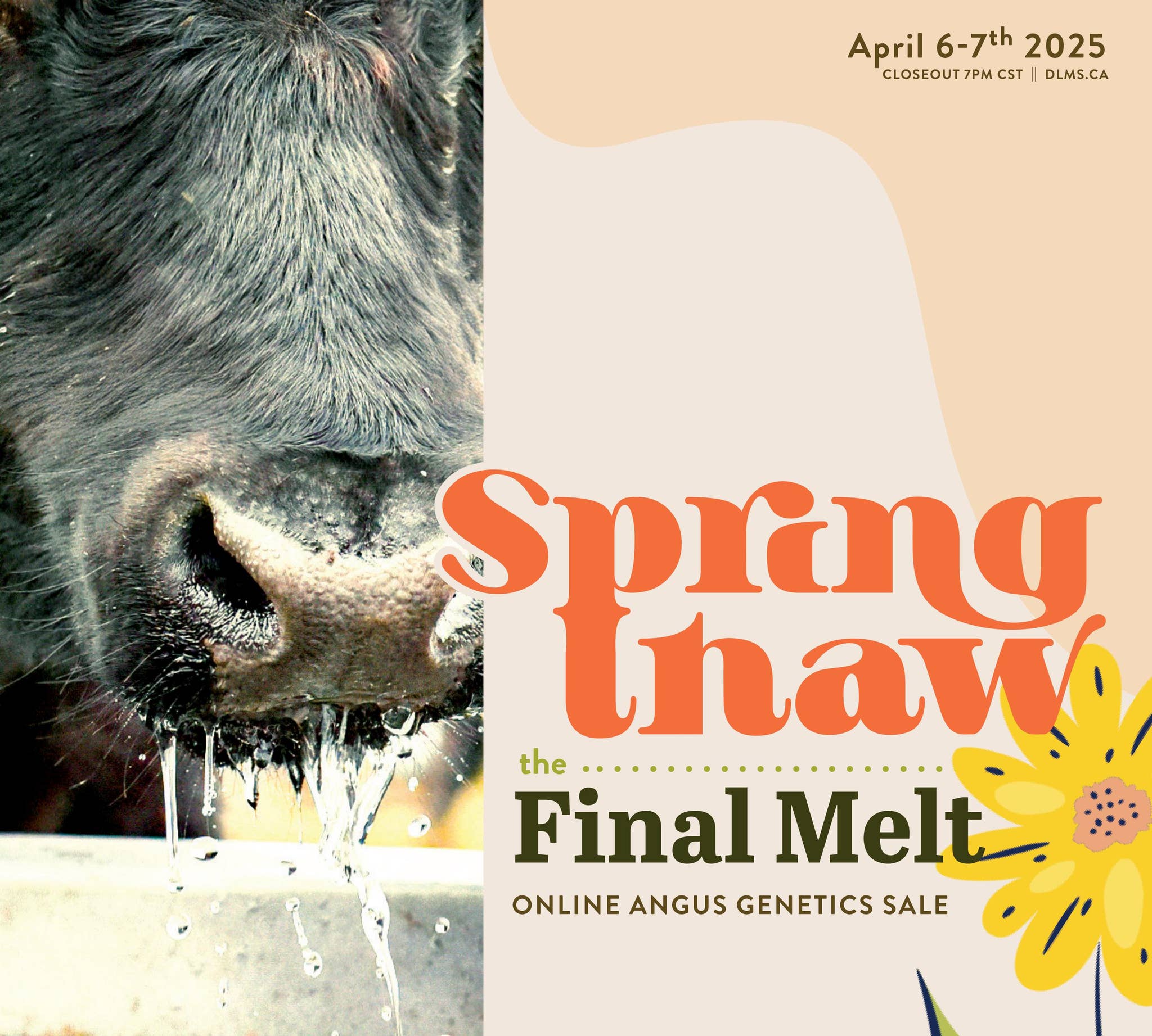 Spring Thaw - The Final Thaw 2025 by Today's Publishing Inc. - Issuu