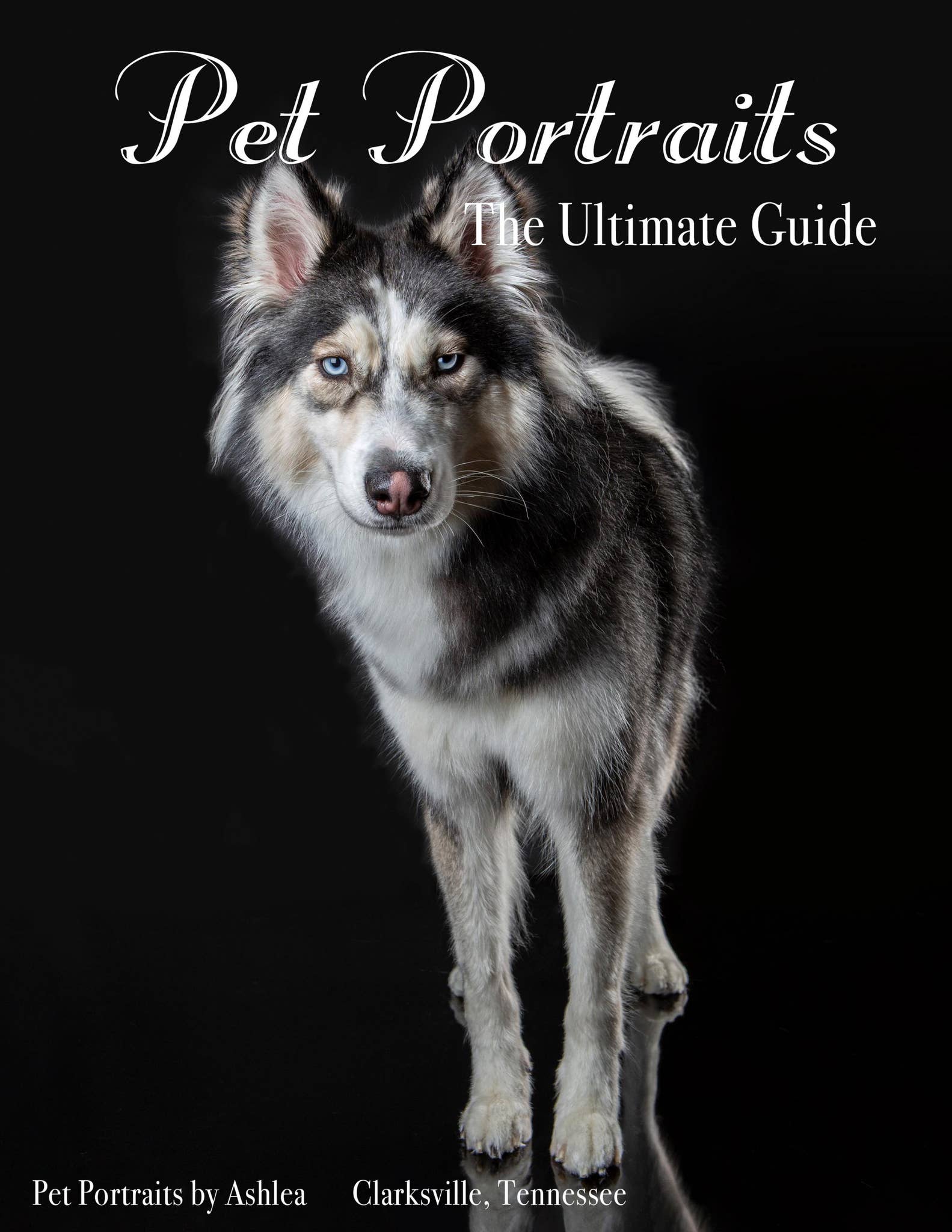 Pet Portrait Magazine 2025 by Ashlea - Issuu