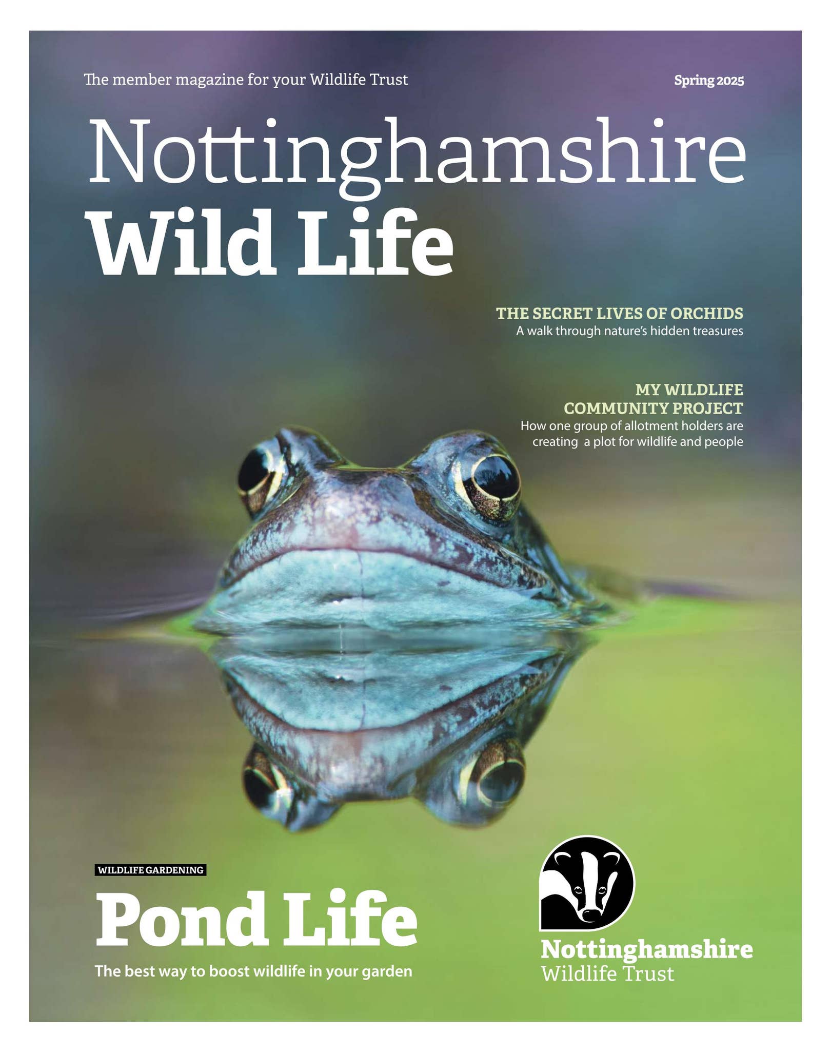 Nottinghamshire Wild Life Spring 2025 by Nottinghamshire Wildlife Trust ...
