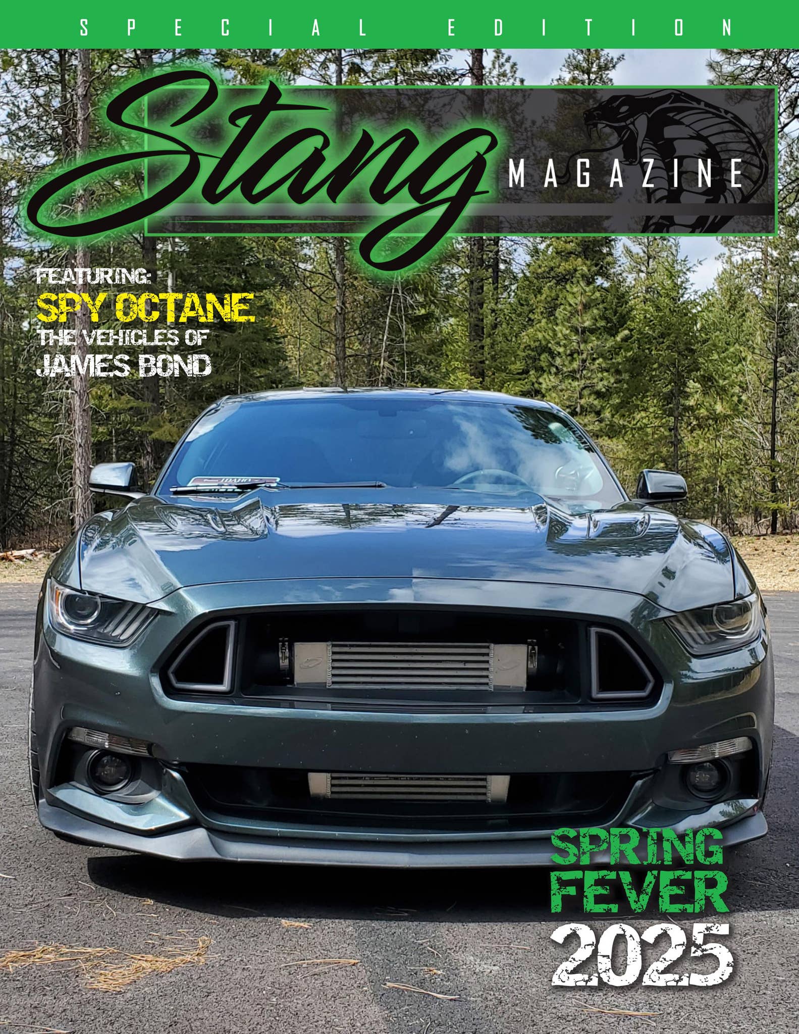 STANG Magazine Special Edition Issue: Spring Fever 2025 by STANG ...