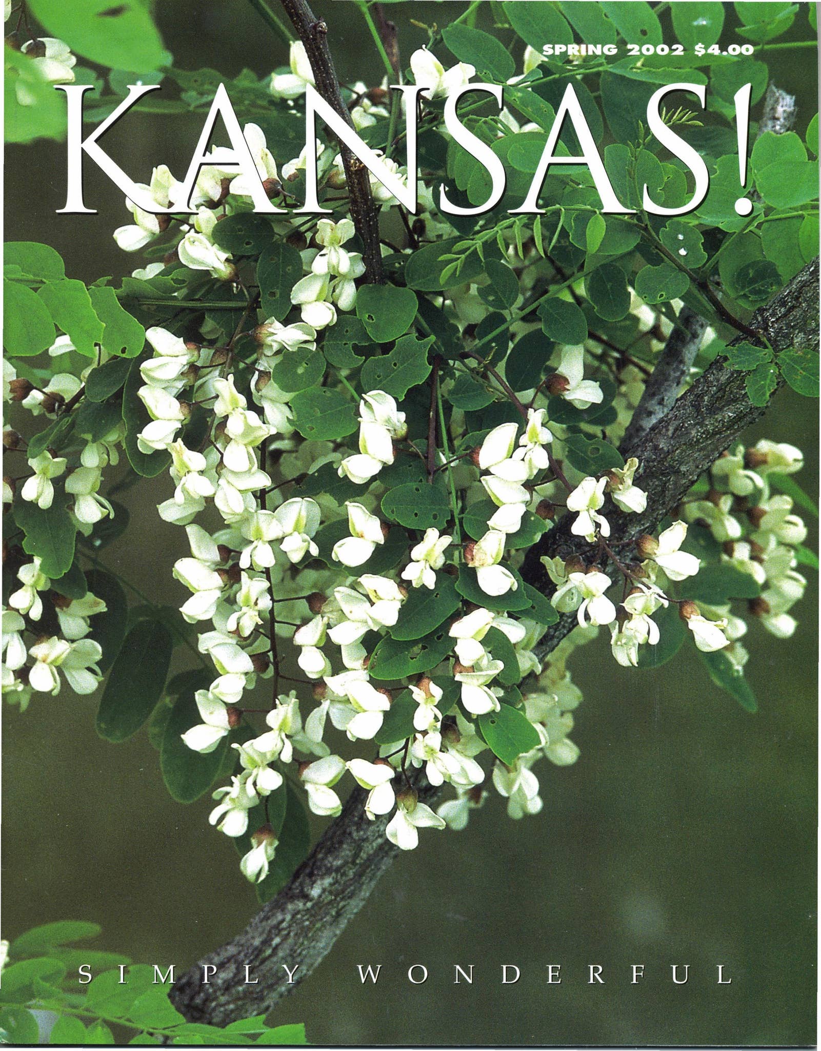 Kansas In Bloom, Spring 2002 by Kansas Magazine - Issuu