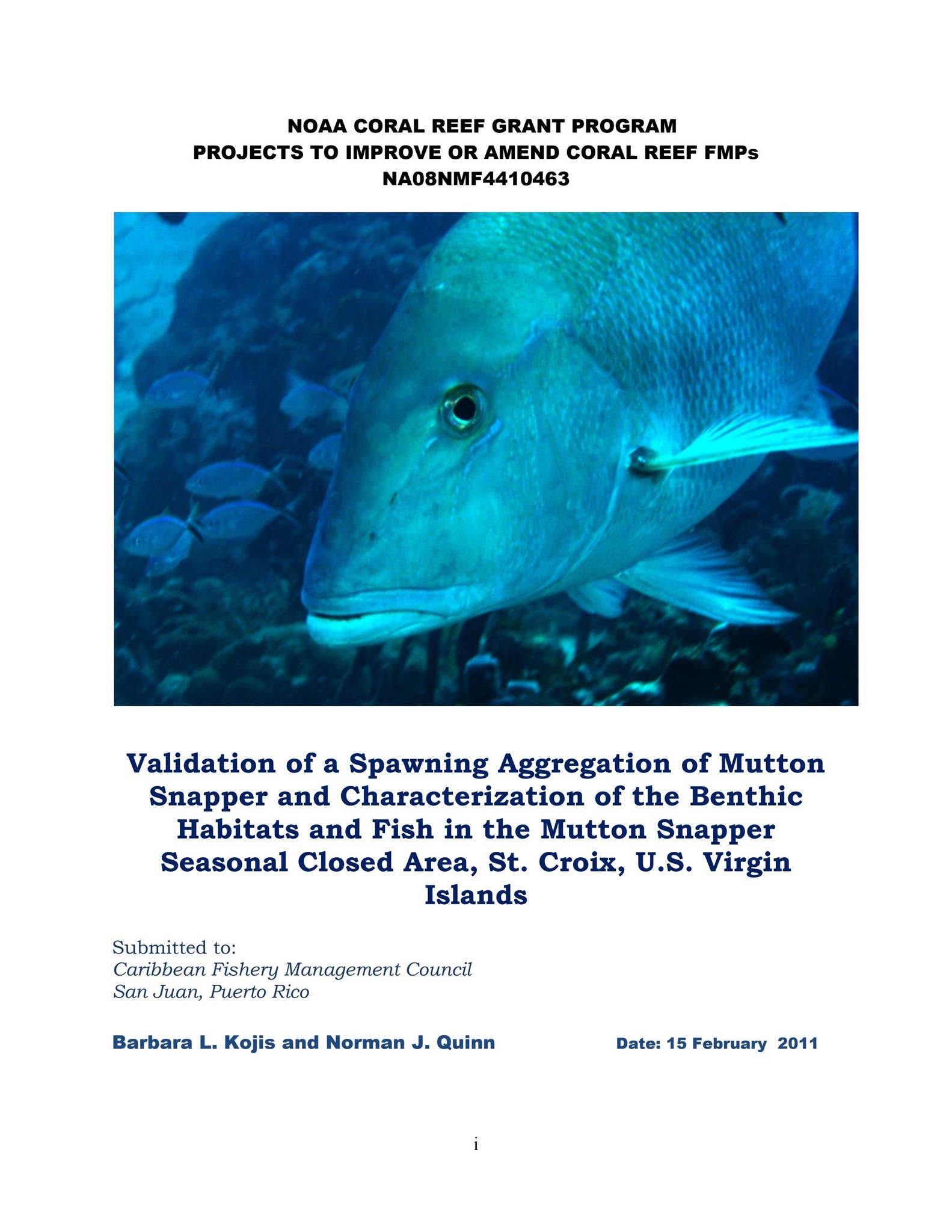 Validation of a Spawning Aggregation of Mutton Snapper and ...