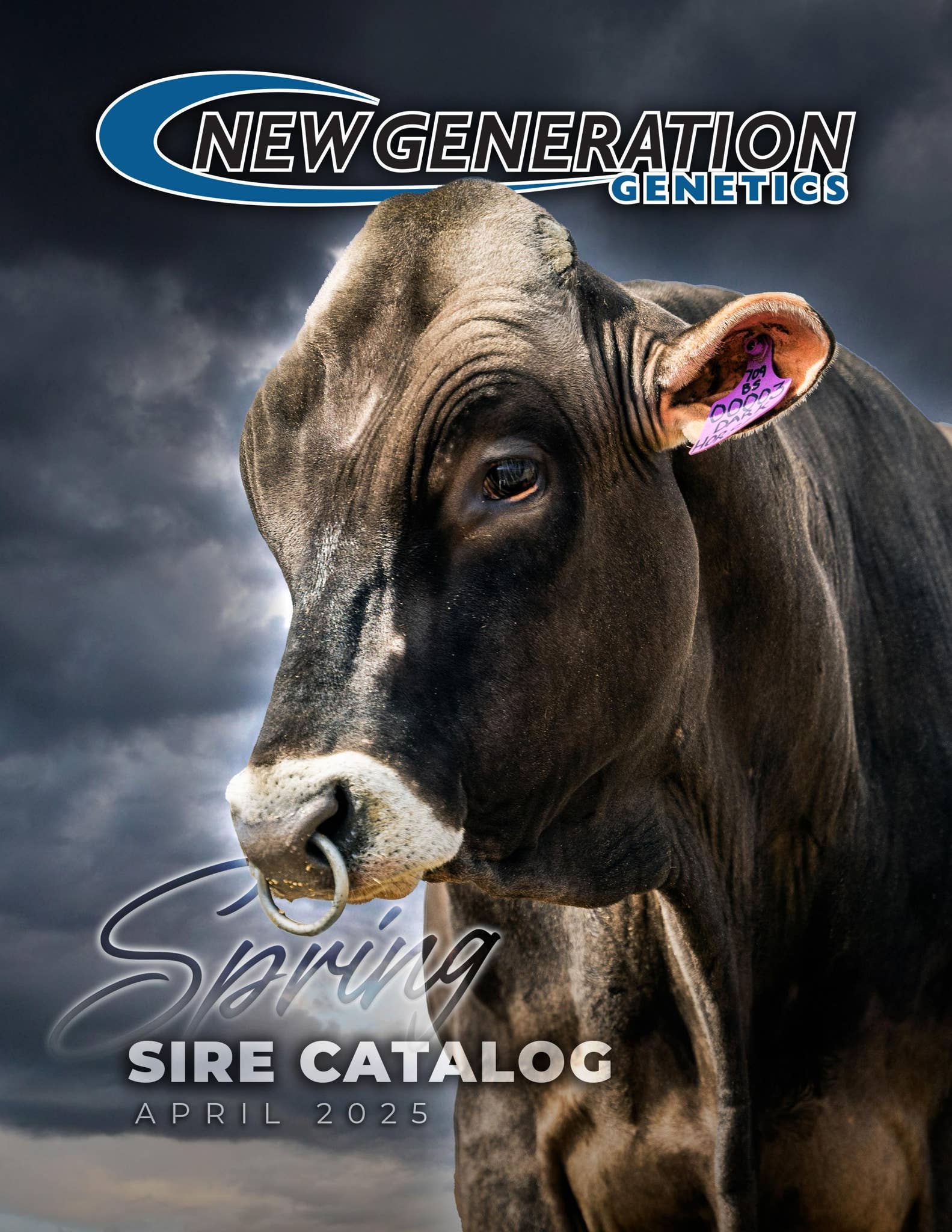 2025 New Generation Genetics Spring Sire Catalog by Backroad Creative ...