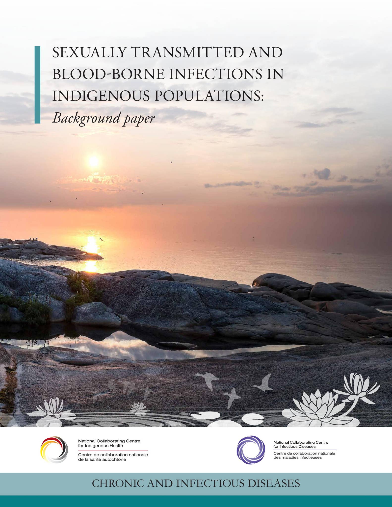 Sexually transmitted and blood-borne infections in Indigenous ...