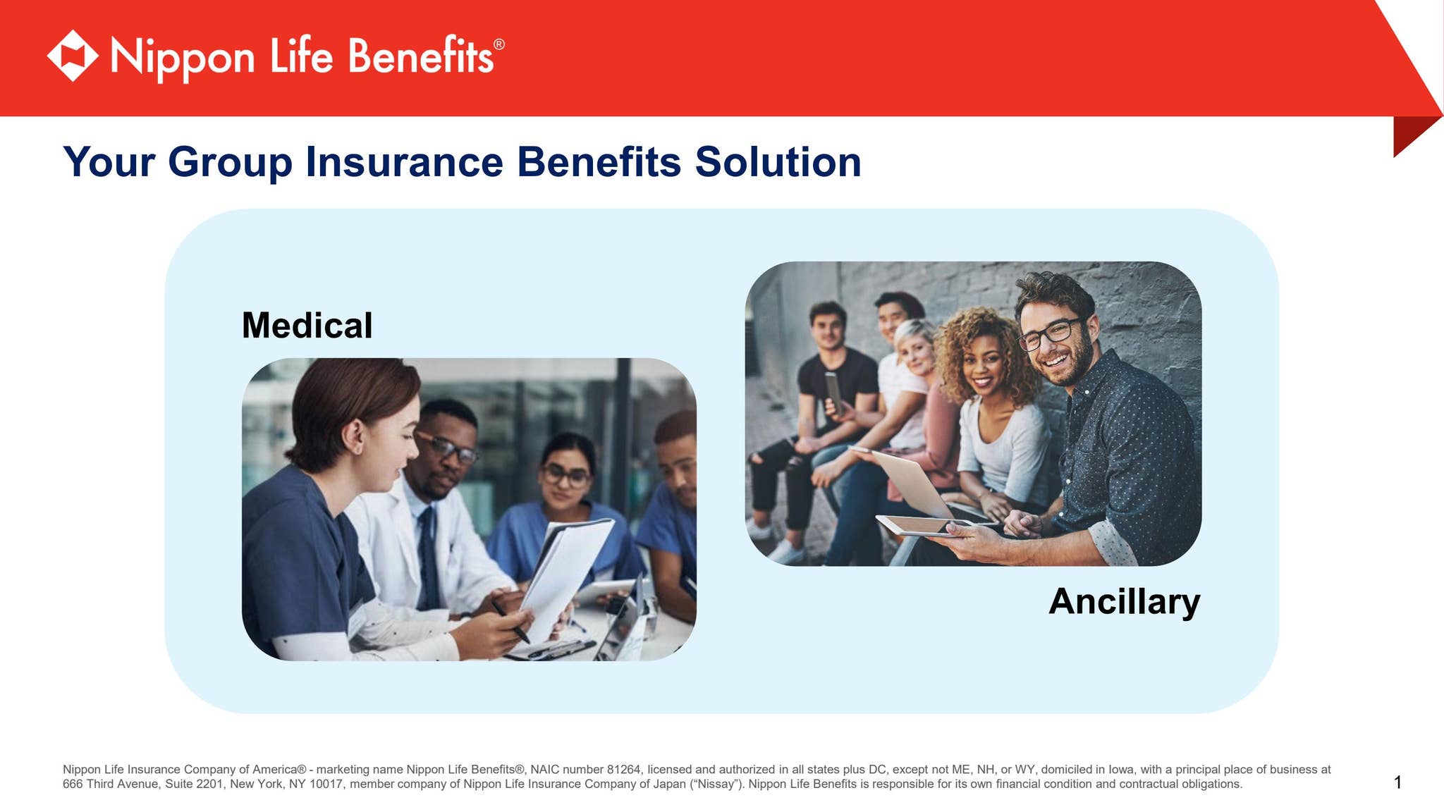 NLB Overview for Brokers DL by Nippon Life Benefits - Issuu