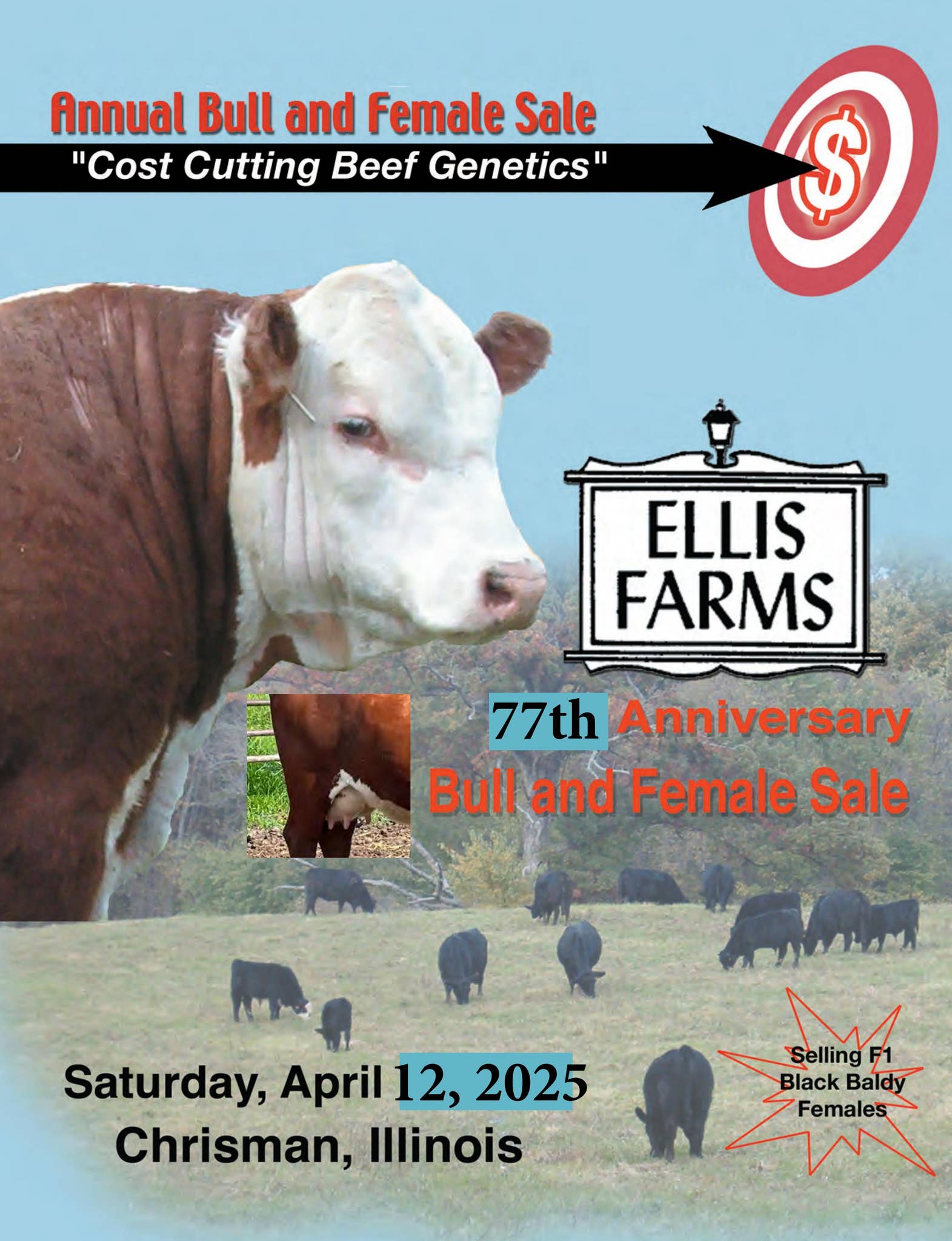 Ellis Farms 77th Anniversary Bull and Female Sale by American Hereford ...